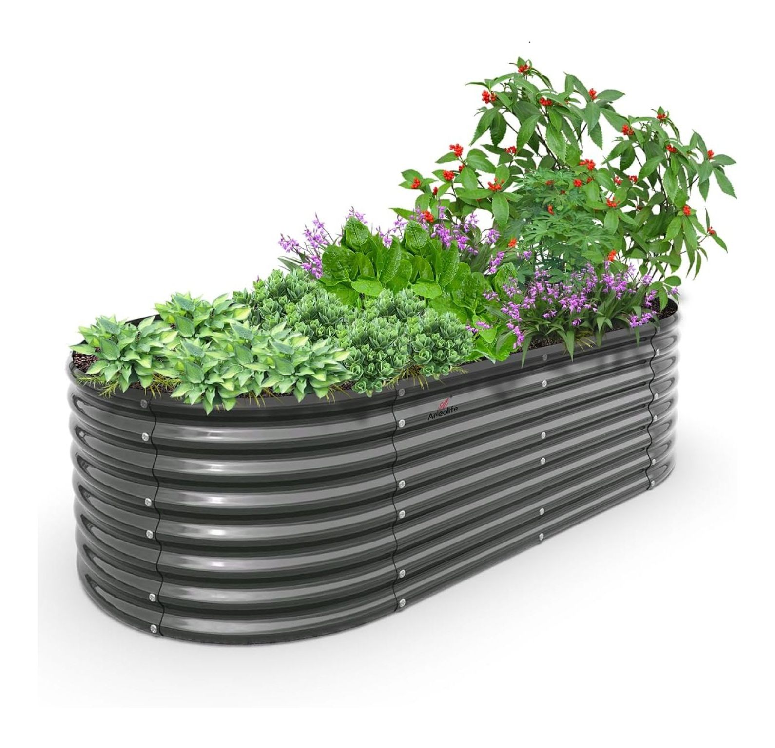 Lorelia 8X4X2 ft Galvanized Raised Garden Beds Outdoor, Oval Large ...