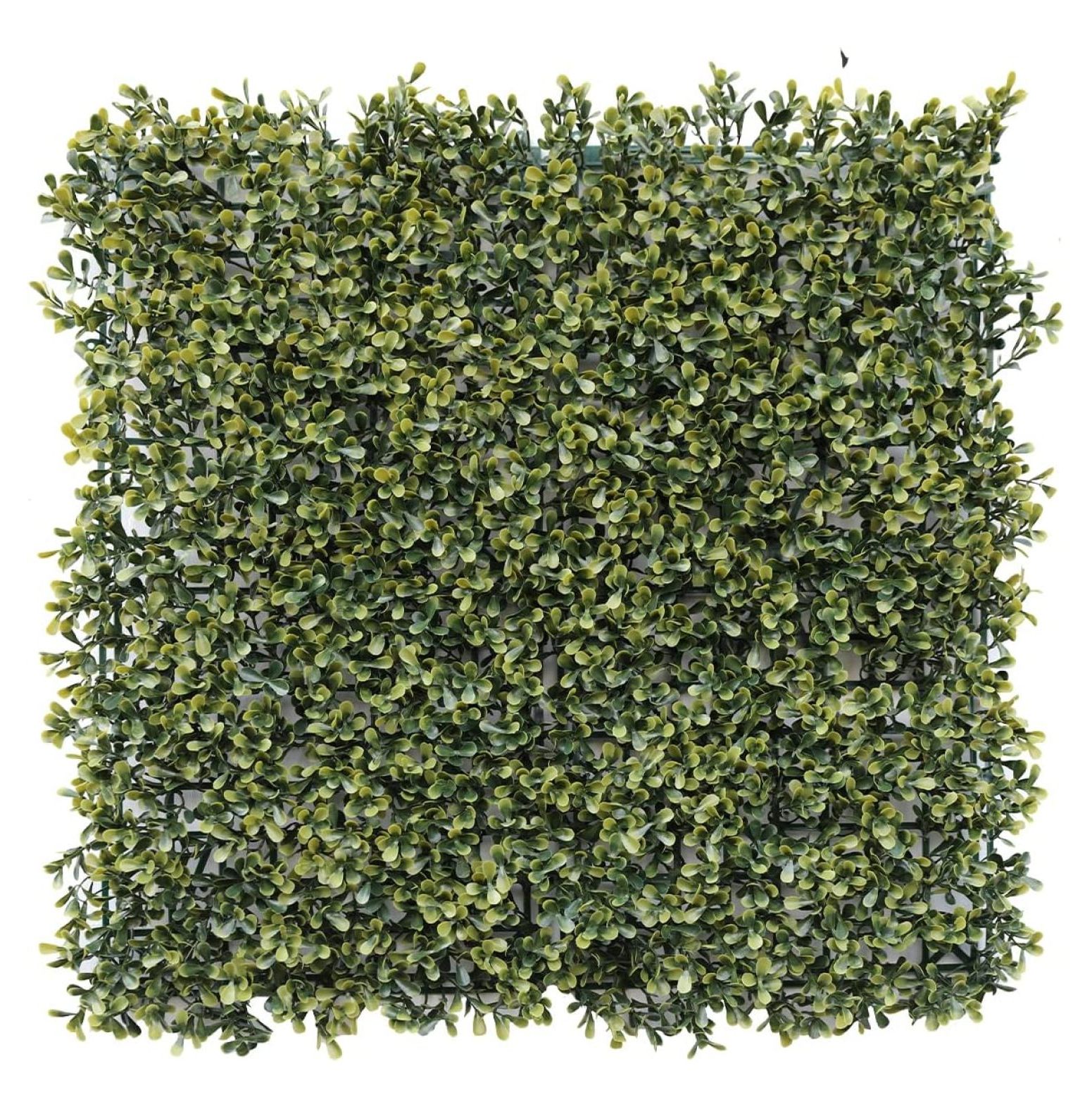 Lorelia Paradise Artificial Greenery Grass Wall Panels, 20"x20" (8pc) Faux Grass Boxwood ...