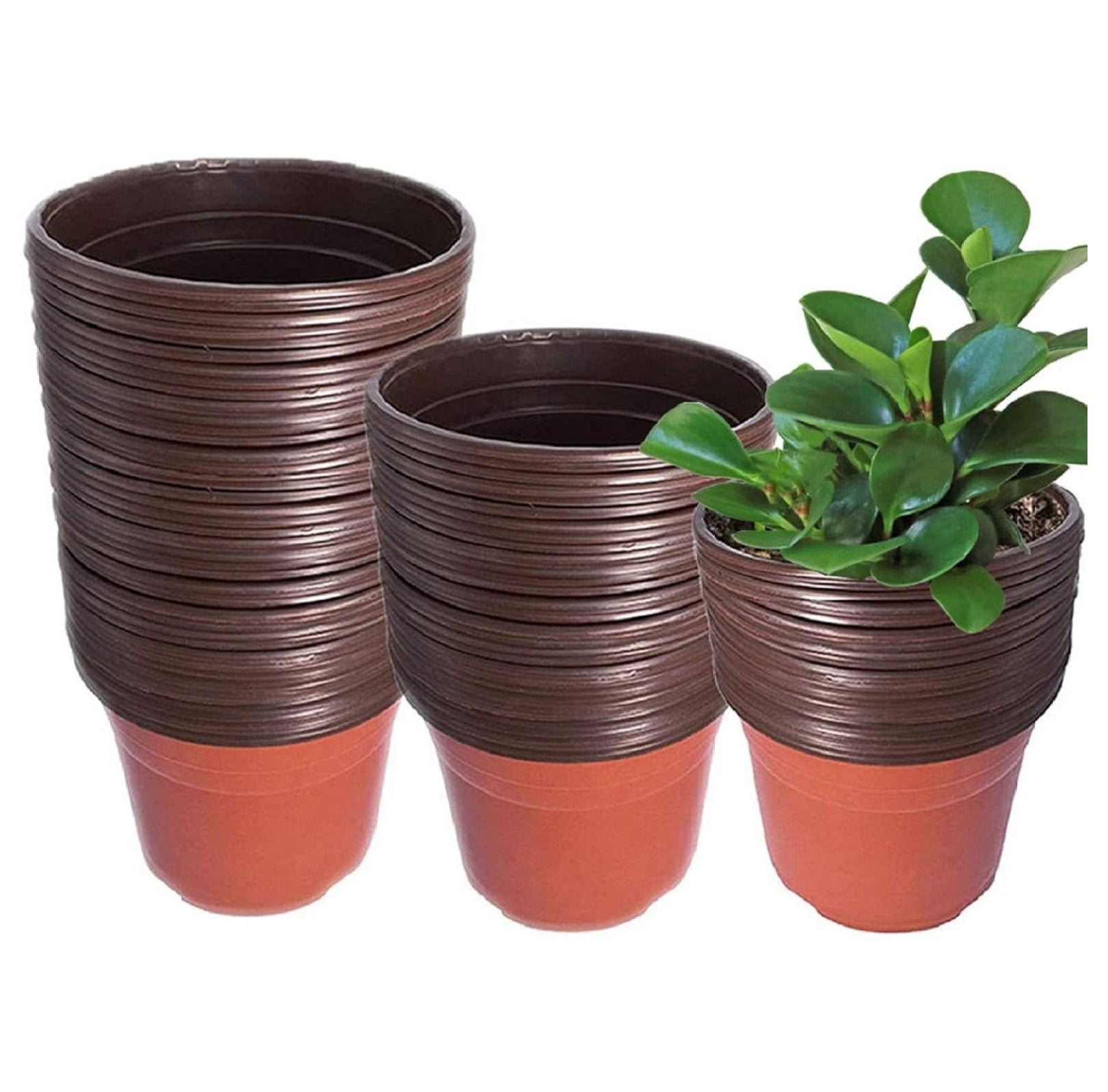 Lorelia Seedling Pots Plastic Plant Pots Seedling Cups Nursery Pots ...