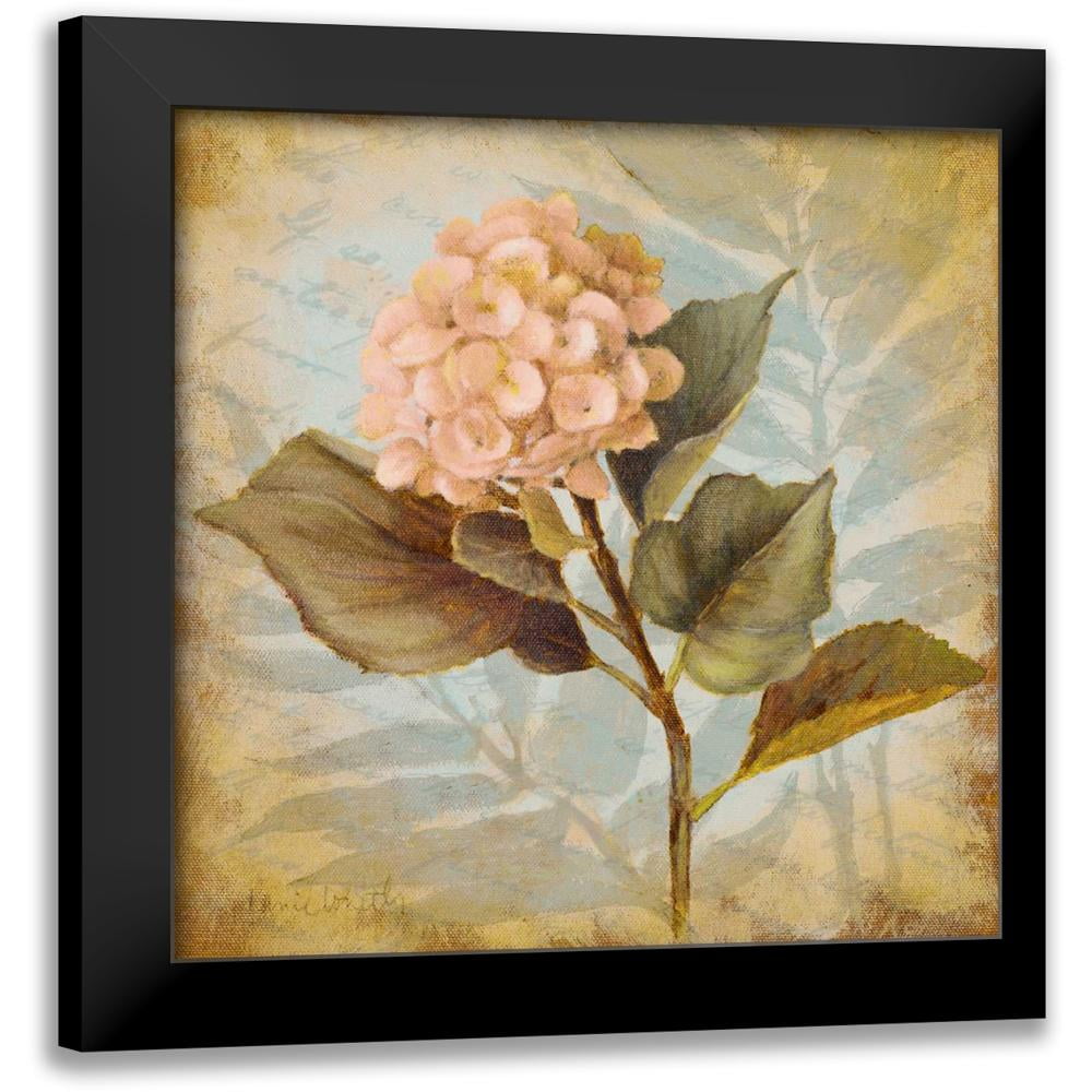 Loreth, Lanie 15x15 Black Modern Framed Museum Art Print Titled - Pink ...
