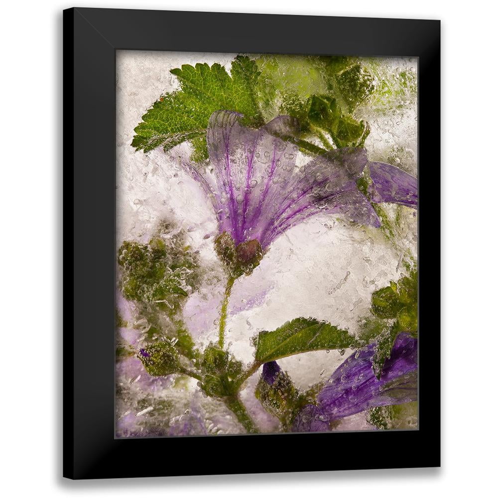 Losada, Secundino 12x14 Black Modern Framed Museum Art Print Titled ...