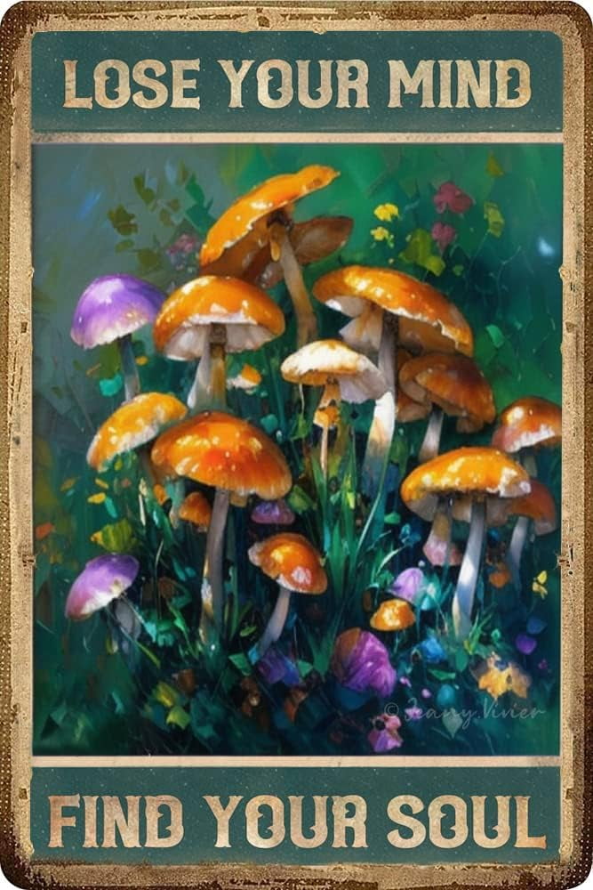 Lose Your Mind Find Your Soul Metal Tin Sign for Club Pub Cafes Hippie ...