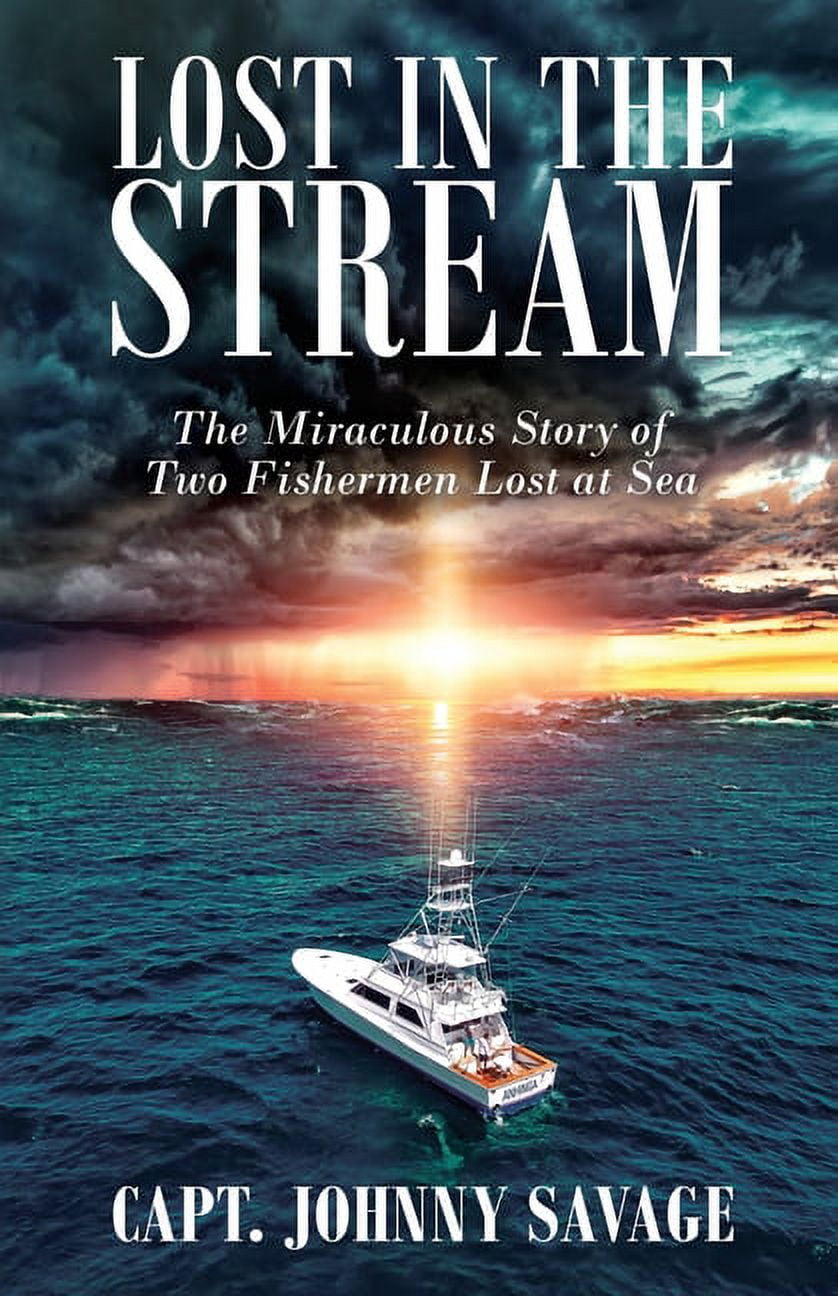 Lost in the Stream, (Paperback) - Walmart Business Supplies