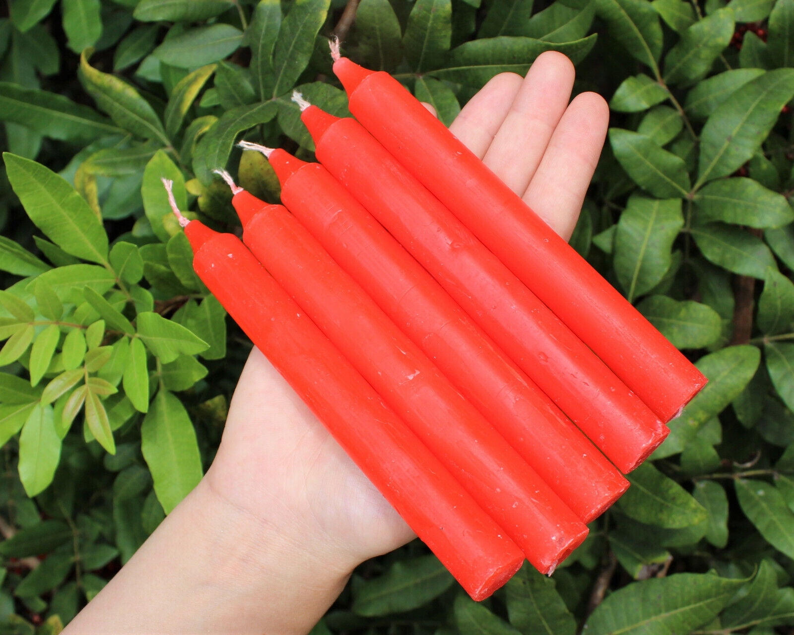 Lot of 5 x 6" Taper Candles: RED Spell Candles for Rituals, Birthdays ...