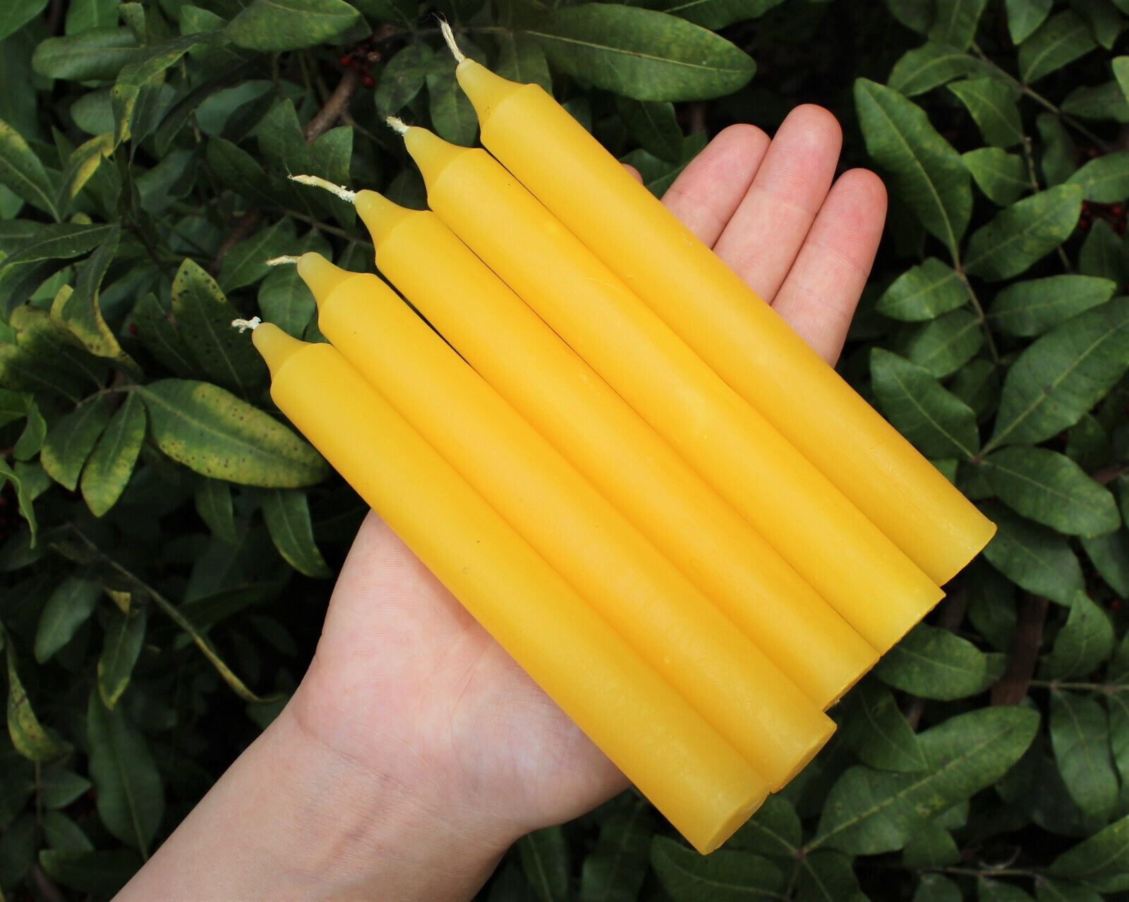 Lot of 5 x 6" Taper Candles: YELLOW Spell Candlesfor Rituals, Birthdays ...