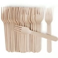 "Eco-Friendly LotFancy Disposable Wooden Forks, Bulk Disposal Pack, 250 ...