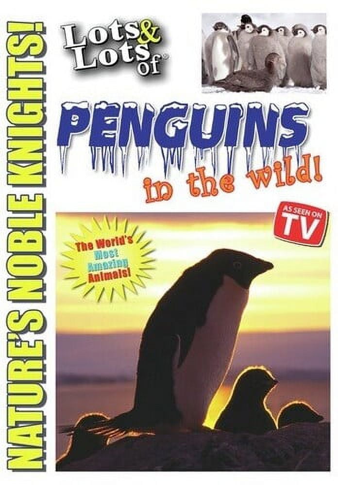 Lots and Lots of Penguin in the Wild (DVD), Marshall Publishing, Kids ...