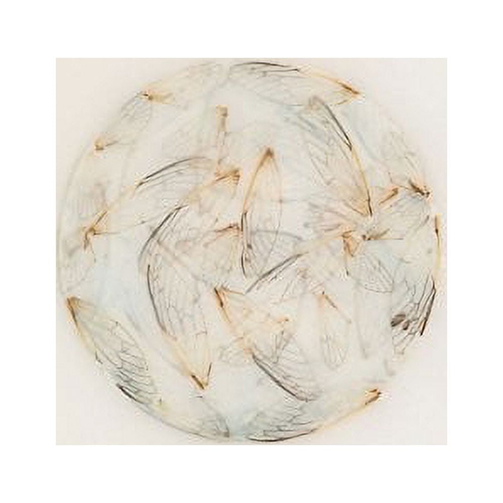 Lotte Kestner - Off White - Rock - Vinyl - Walmart.com