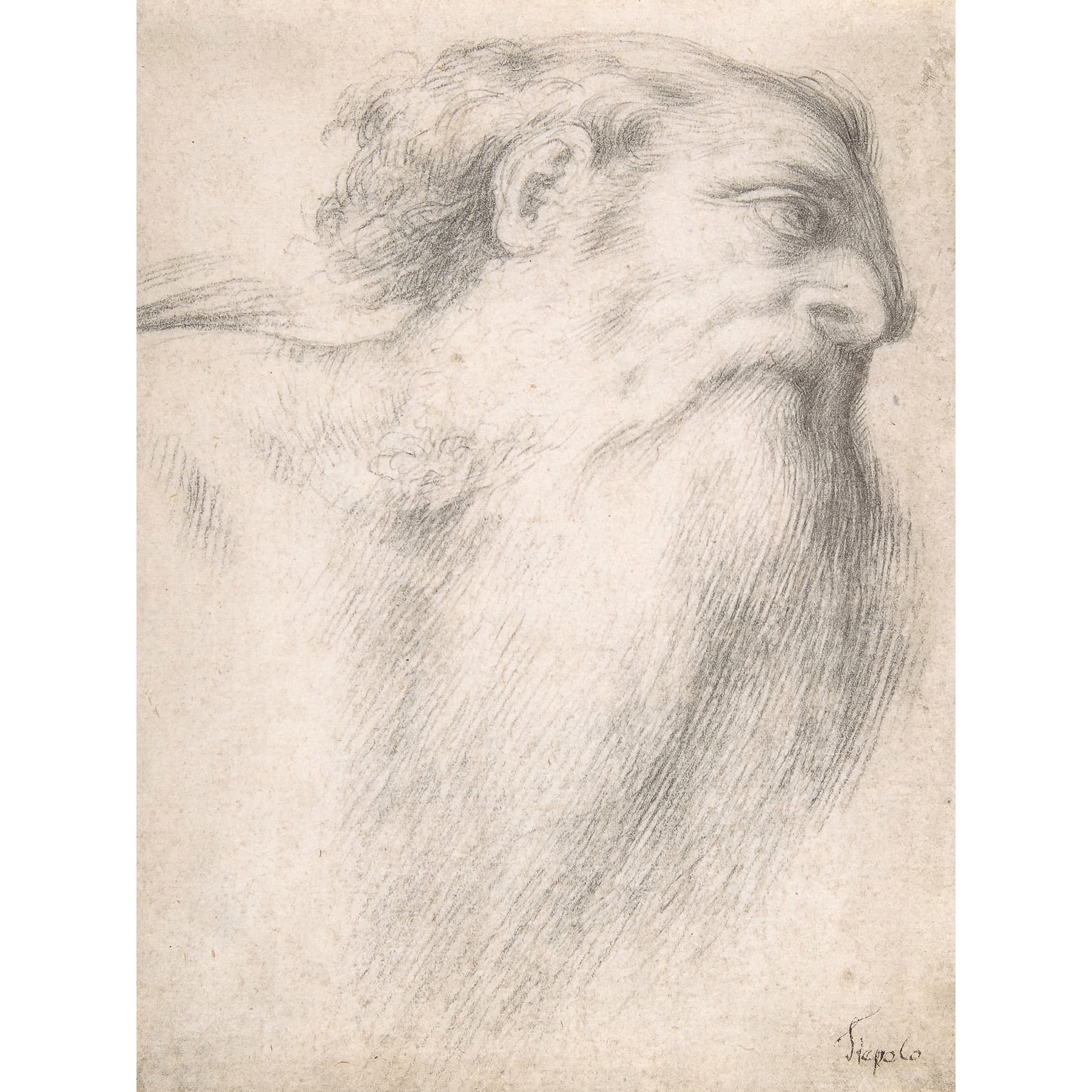 Lotto Head Of A Bearded Man Drawing Extra Large XL Wall Art Poster ...