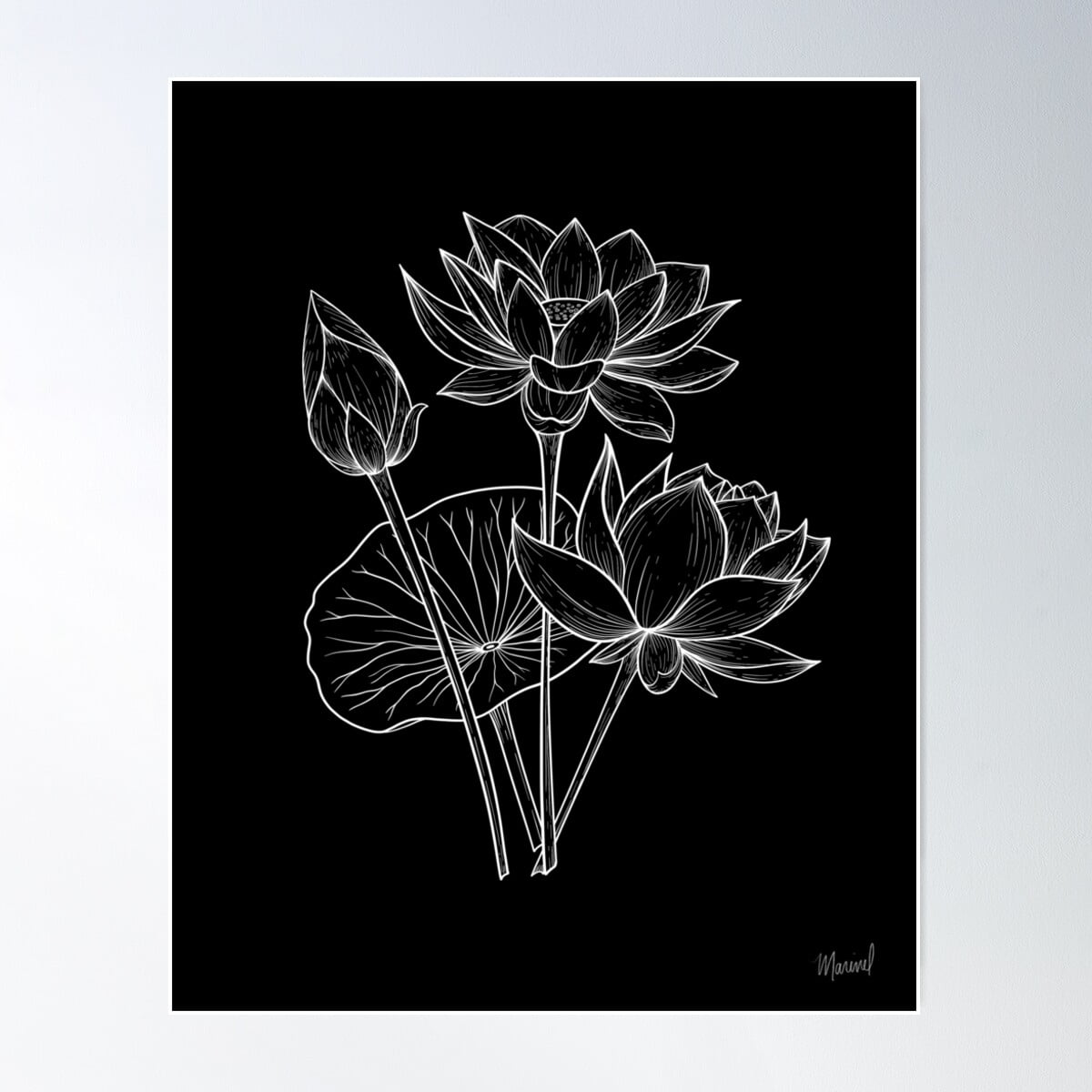 Lotus Blossom Line Art Black Background White Lines Poster Wall Art ...