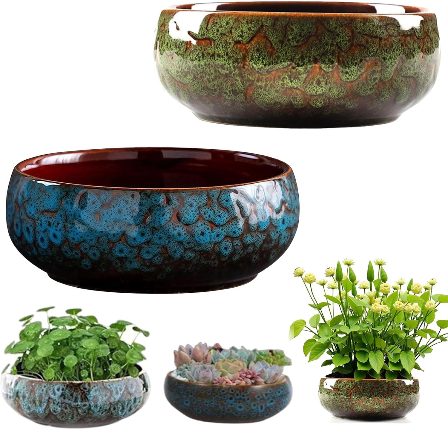 Lotus Bowl Planter, 2025 New Ceramic Lotus Flower Bowl, Lotus Bowls for ...