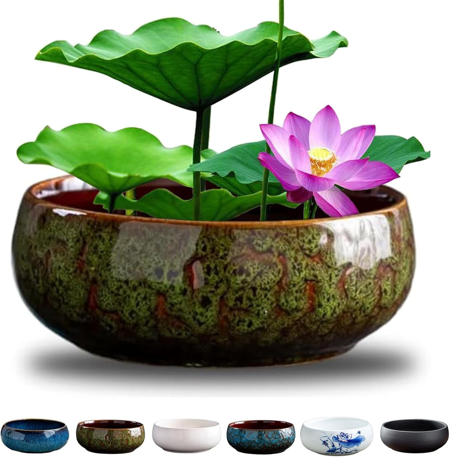 Lotus Bowl Planter, Bonsai Bowl Lotus Flower Pots for Planting in Water ...