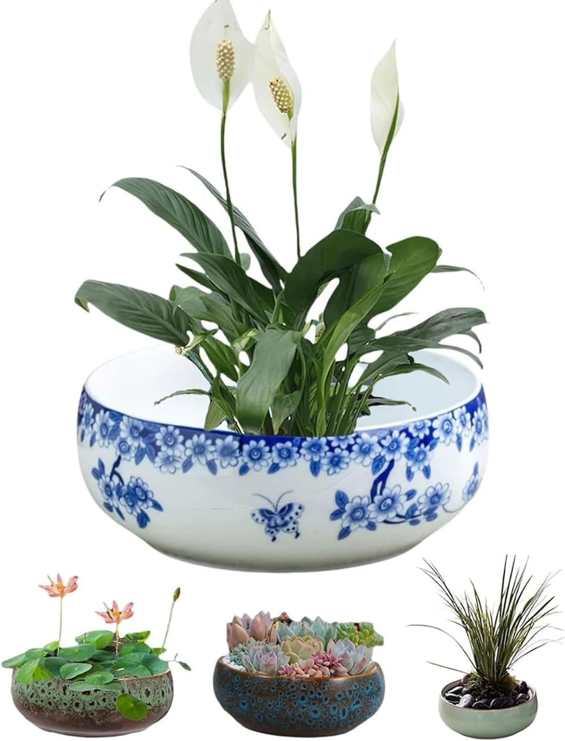 Lotus Bowl Planter, Bonsai Lotus Ceramic Pots for Planting in Water ...