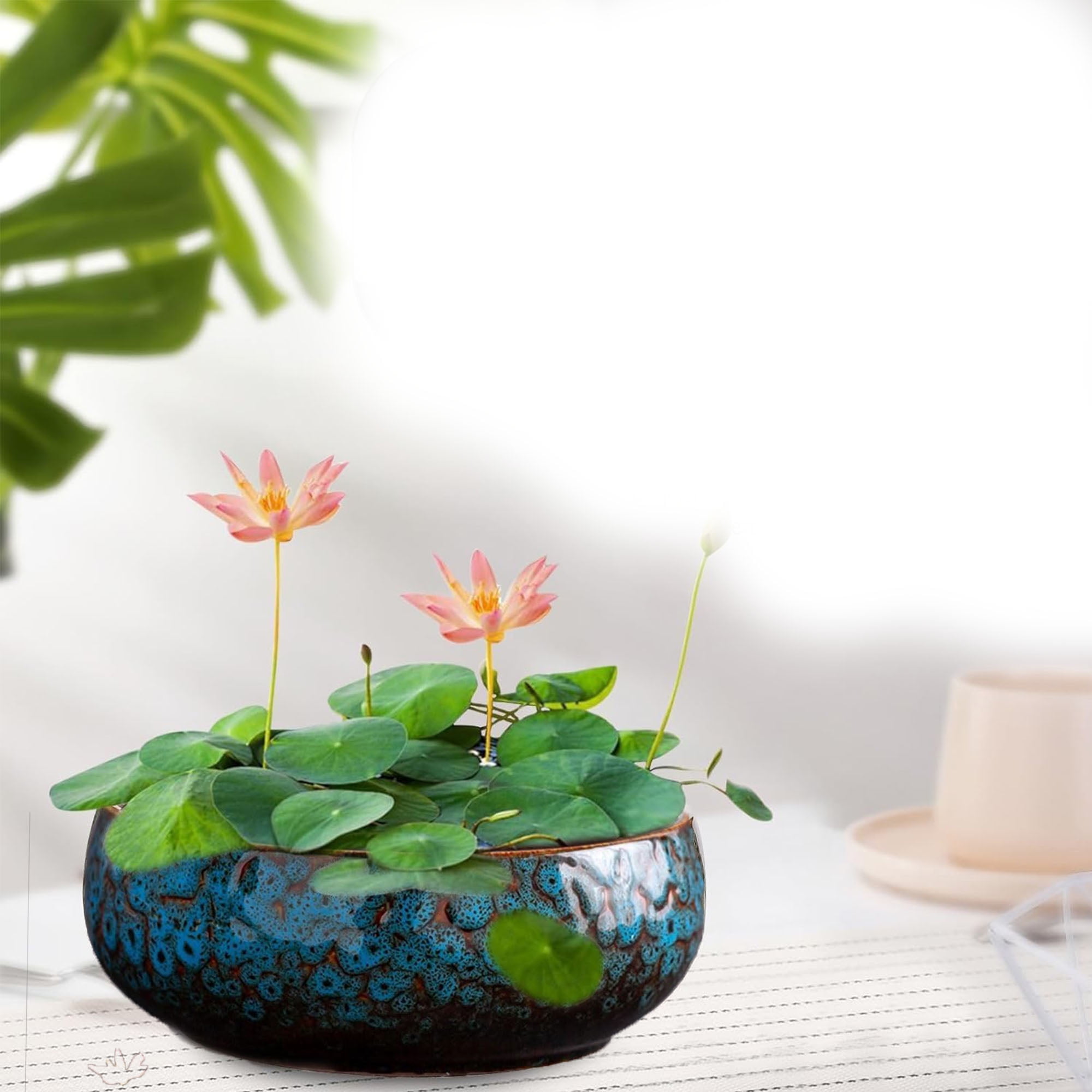 Lotus Bowl Planter, Ceramic Lotus Flower Bowl, Lotus Bowl, Lotus Bowls ...