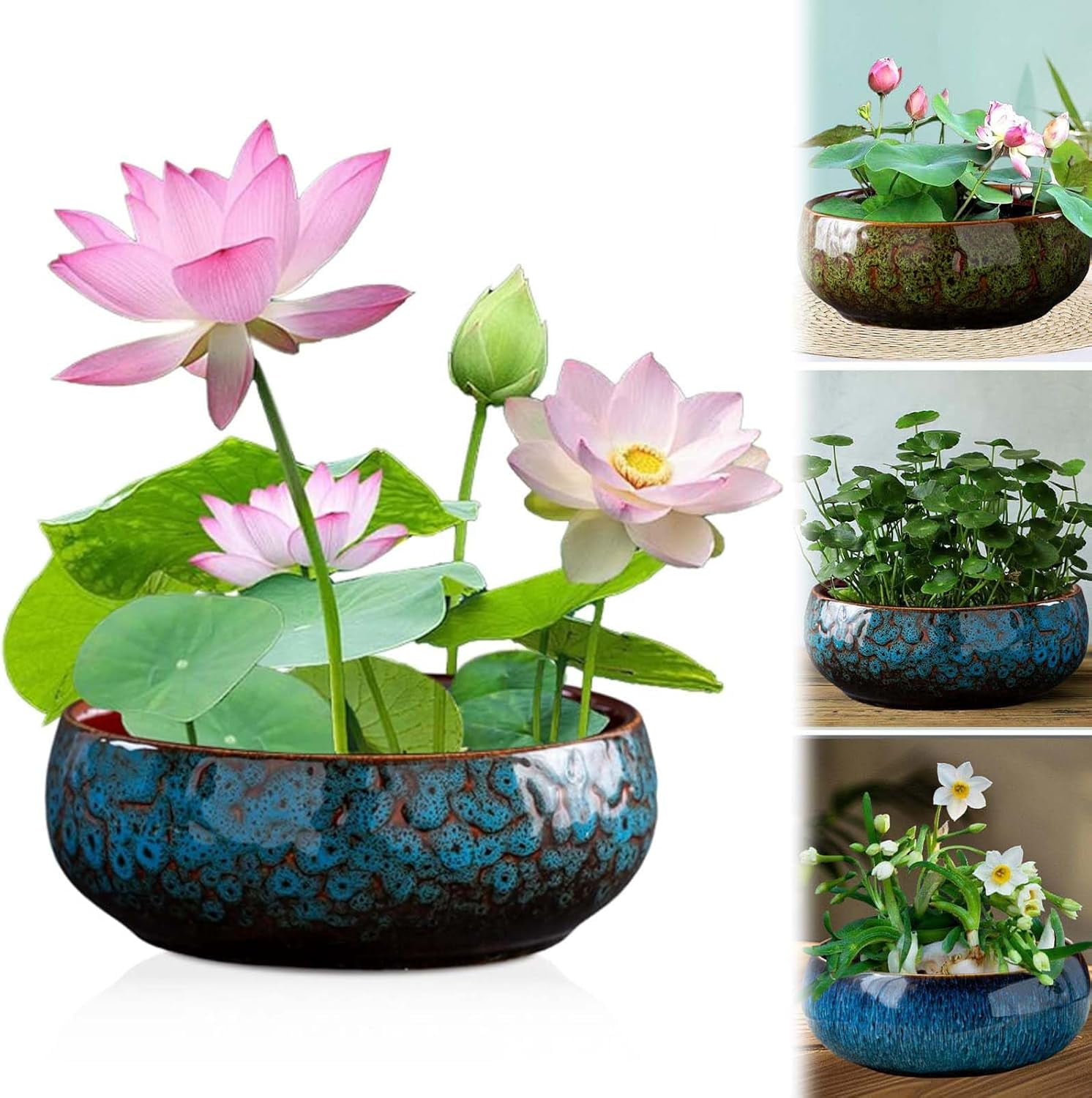 Lotus Bowl Planter, Ceramic Lotus Flower Bowl, Lotus Bowl, Lotus Bowls ...