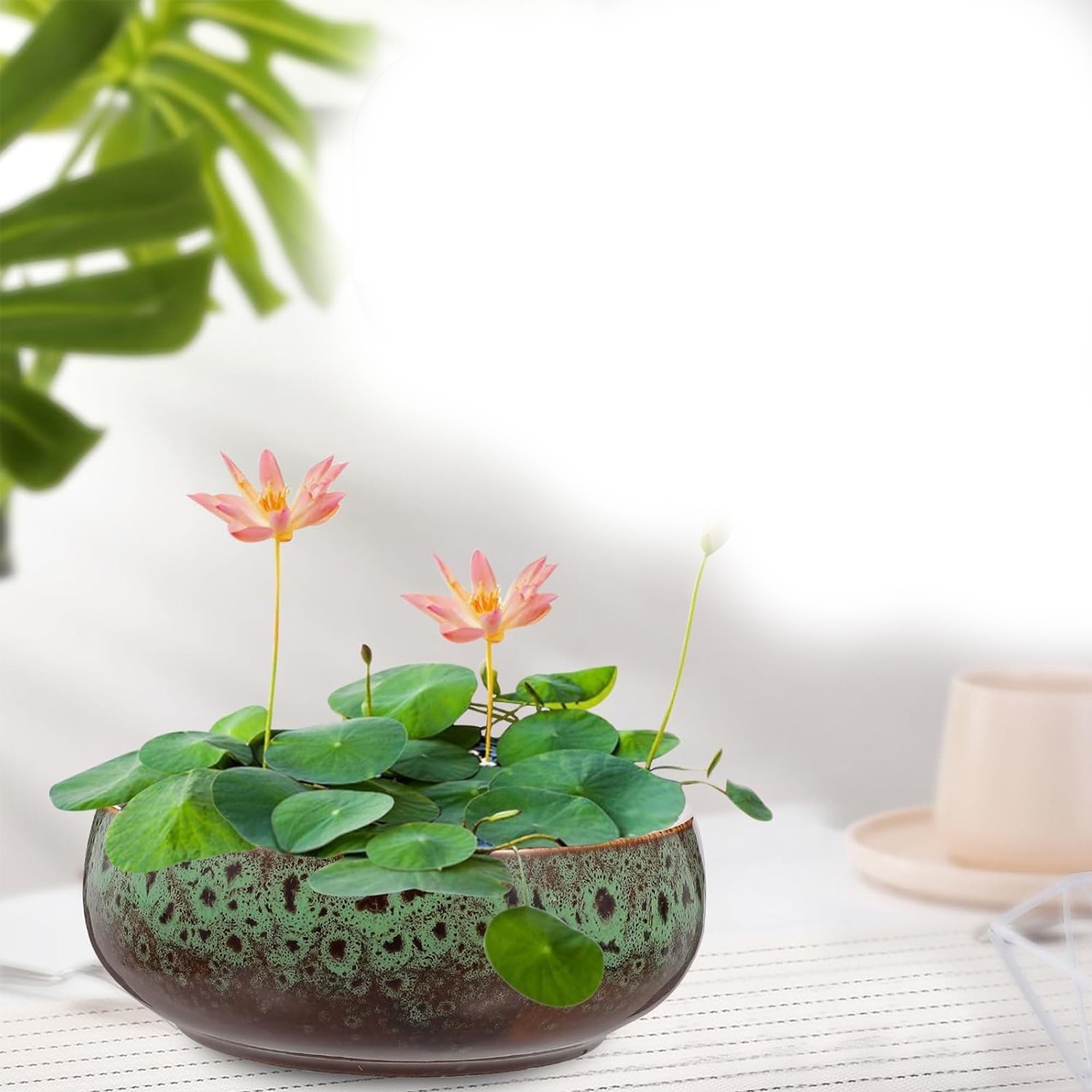 Lotus Bowl Planter, Ceramic Lotus Flower Bowl, Lotus Bowl, Lotus Bowls ...