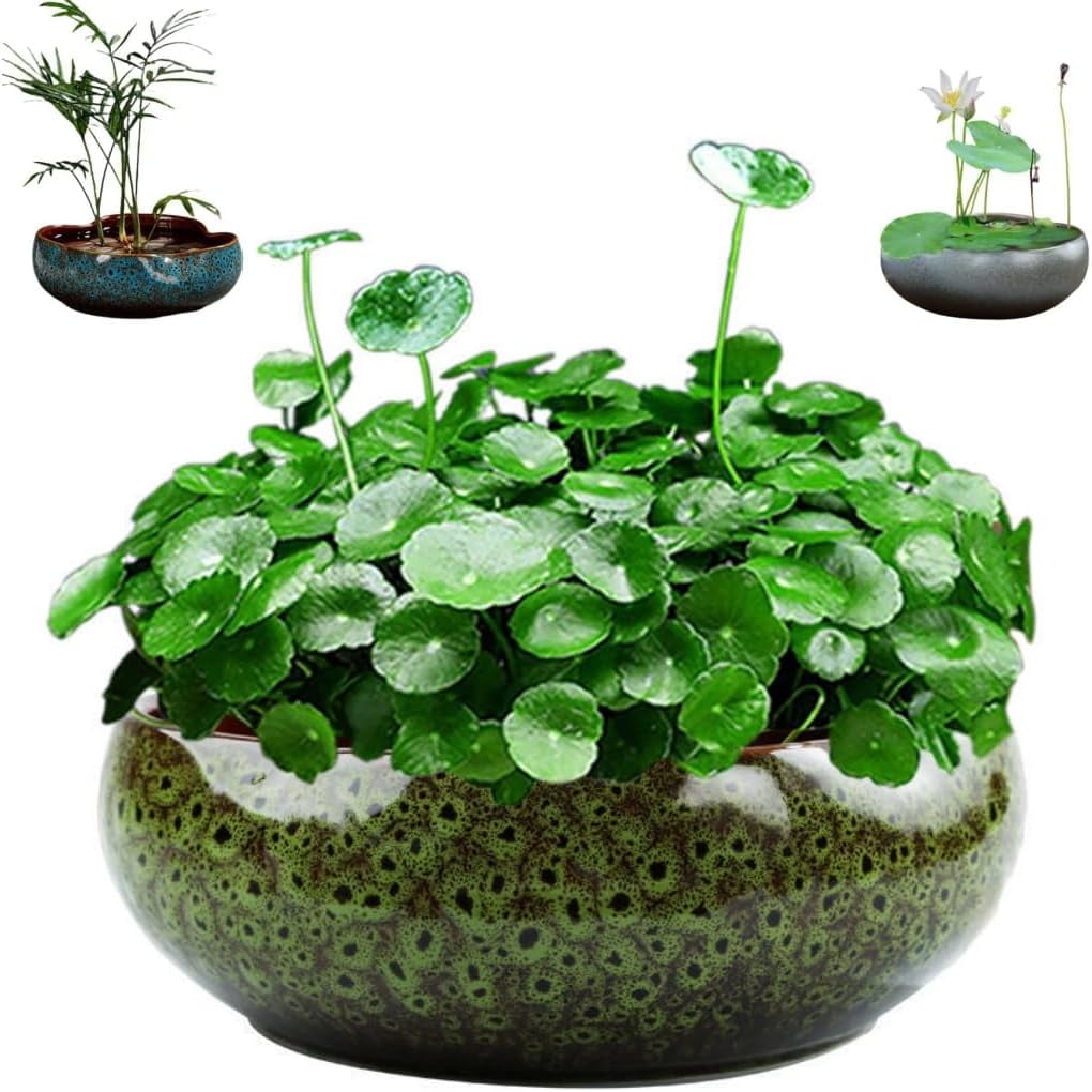 Lotus Bowl Planter, Ceramic Lotus Flower Bowl, Round Lotus Bowl, Lotus ...