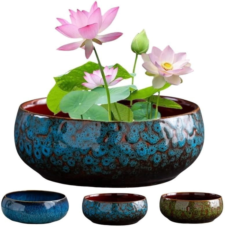 Lotus Bowl Planter, Lotus Bowls for Planting in Water Indoors, Bonsai ...