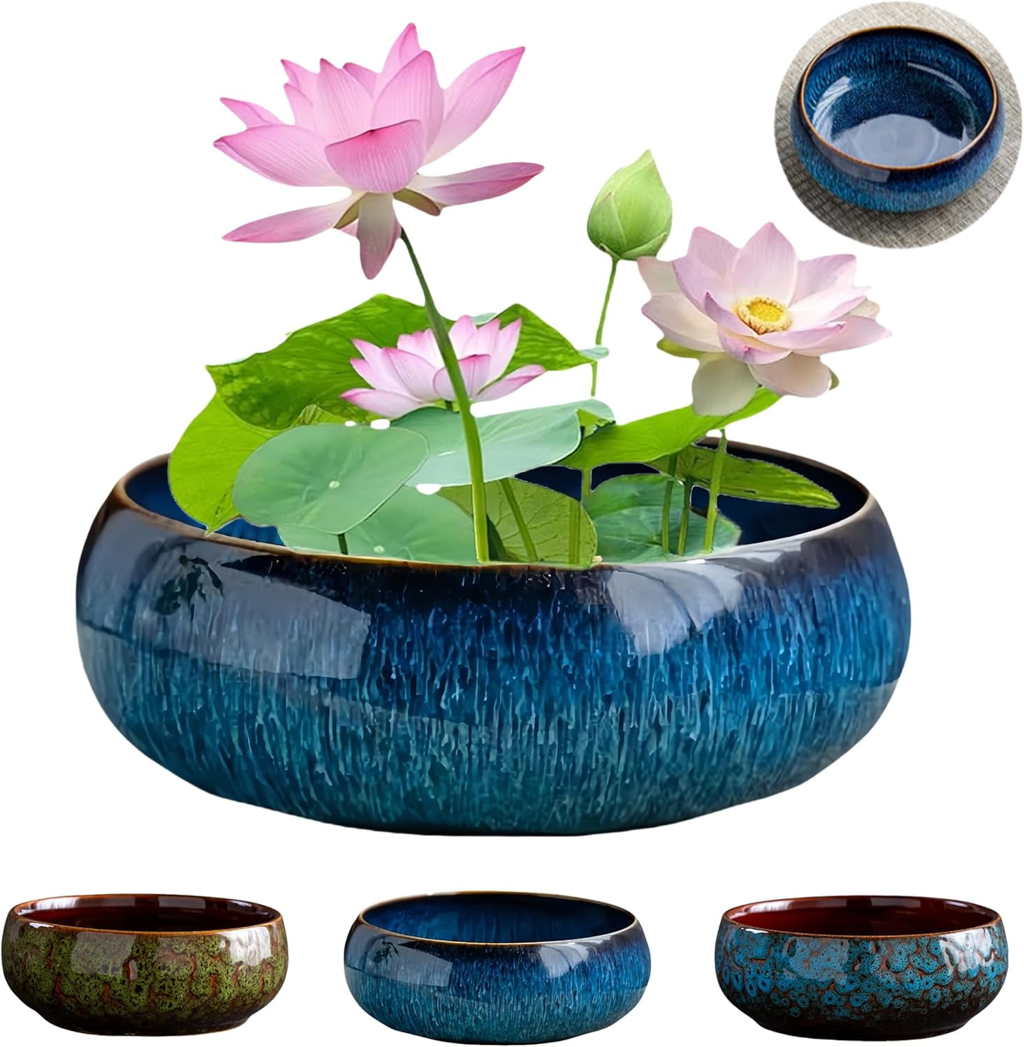 Lotus Bowl Planter, Lotus Bowls for Planting in Water Indoors, Bonsai ...