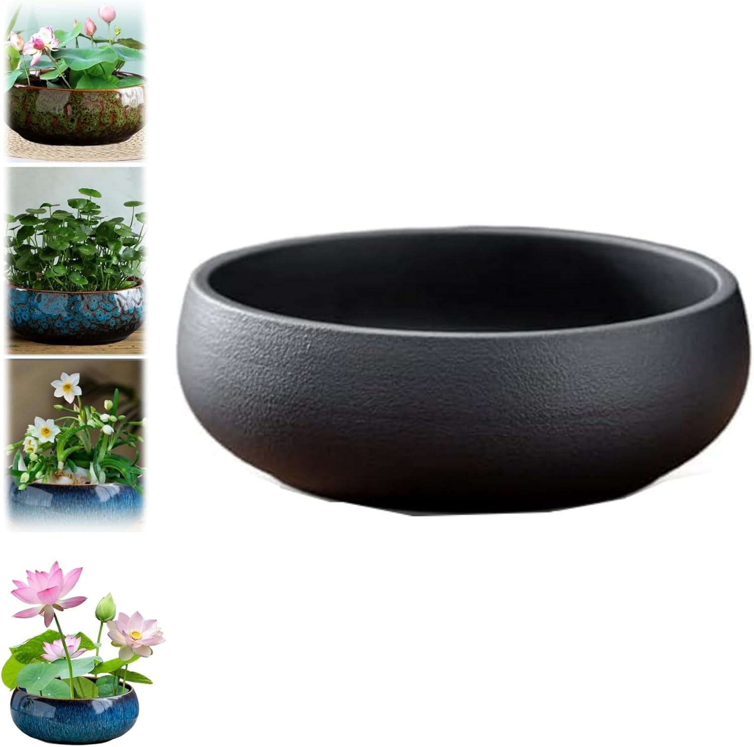 Lotus Bowl Planter, Lotus Bowls for Planting in Water Indoors, Bonsai ...