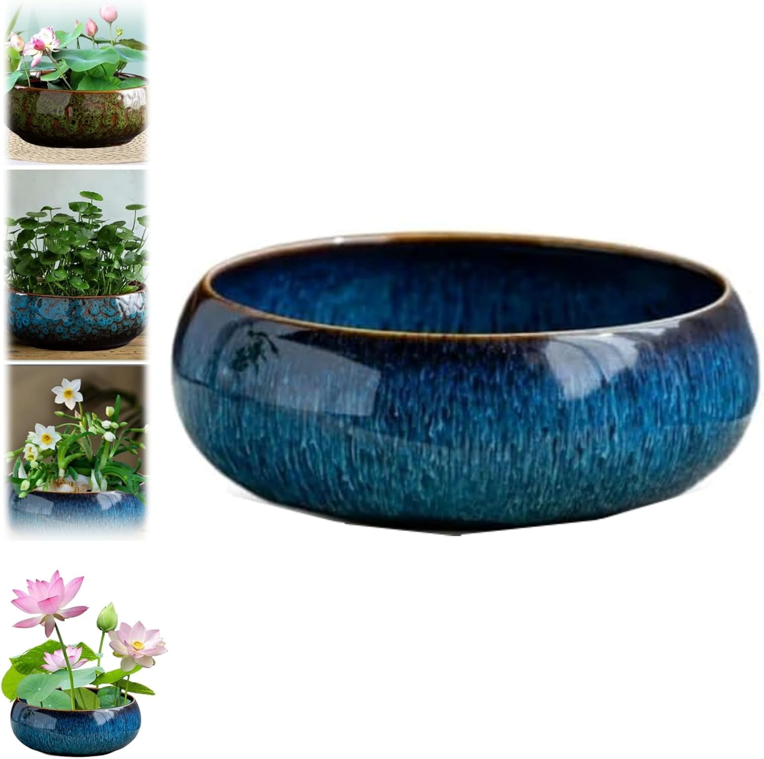 Lotus Bowl Planter, Lotus Bowls for Planting in Water Indoors, Bonsai ...