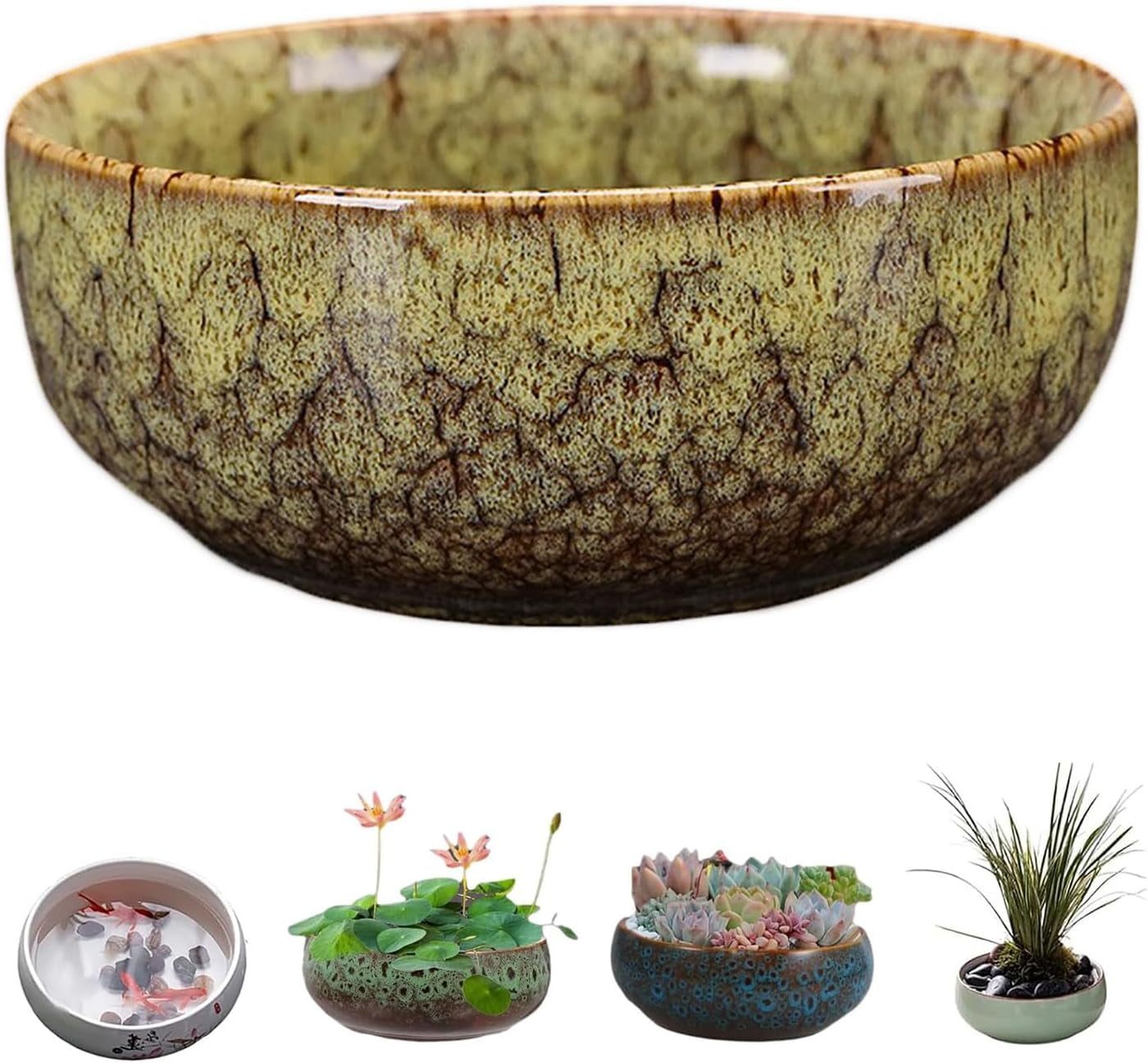 Lotus Bowl Planter, Lotus Bowls for Planting in Water Indoors, Bonsai ...