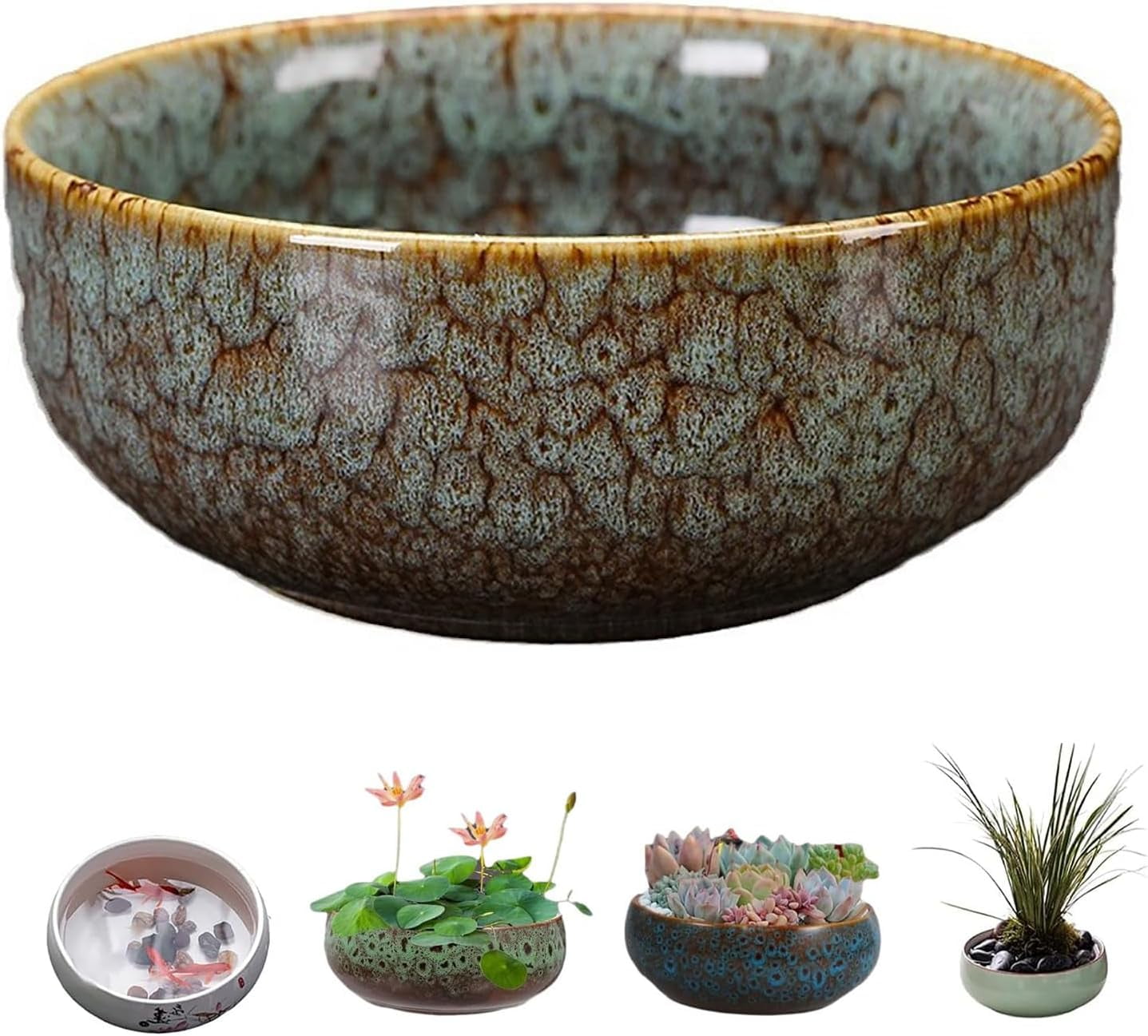 Lotus Bowl Planter, Lotus Bowls for Planting in Water Indoors, Bonsai ...