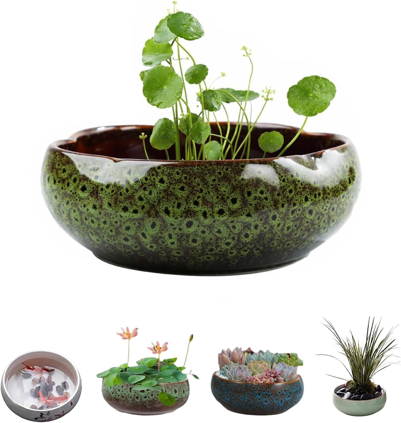 Lotus Bowl Planter, Lotus Bowls for Planting in Water Indoors, Bonsai ...