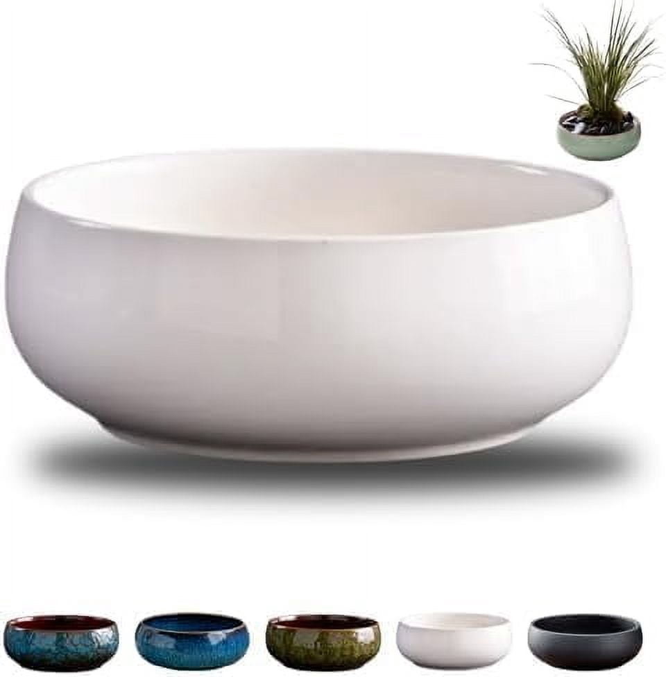Lotus Bowl Planter, Lotus Bowls for Planting in Water Indoors, Bonsai ...
