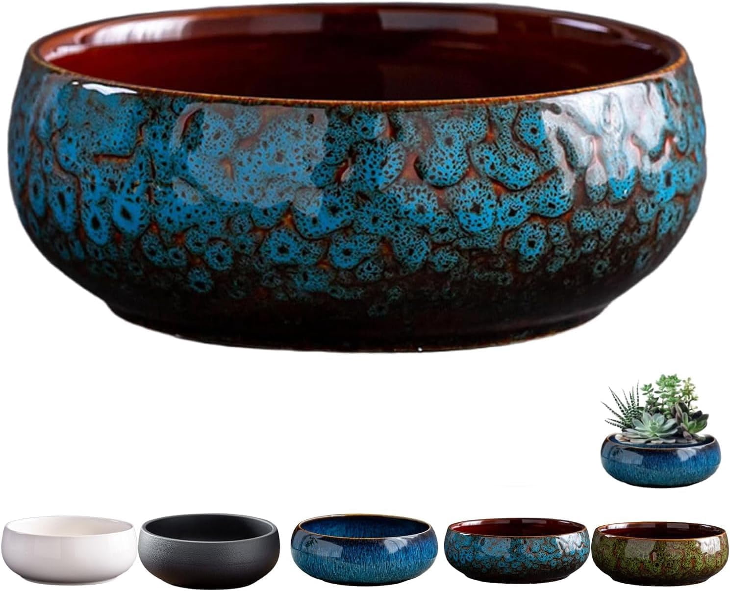 Lotus Bowl Planter, Lotus Bowls for Planting in Water Indoors, Bonsai ...