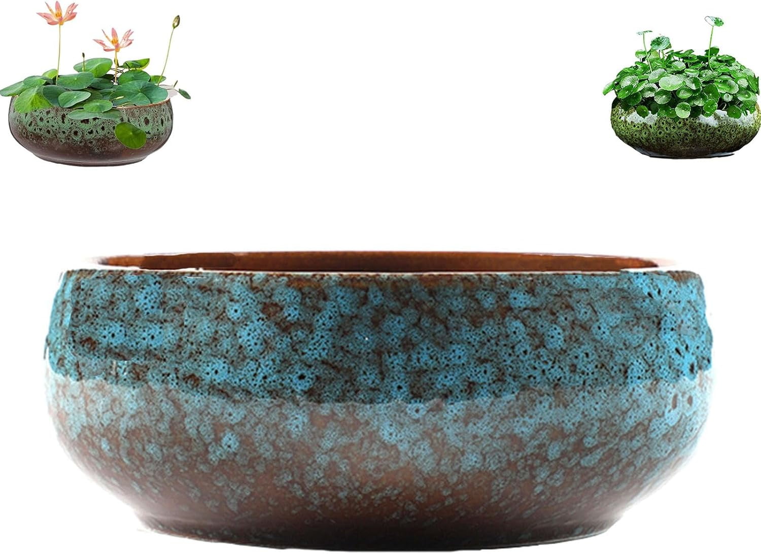 Lotus Bowl Planter, Lotus Bowls for Planting in Water Indoors, Creative ...