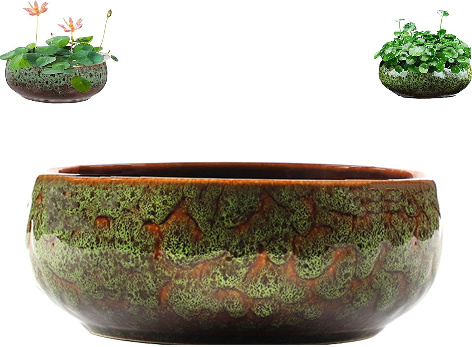 Lotus Bowl Planter, Lotus Bowls for Planting in Water Indoors, Creative ...