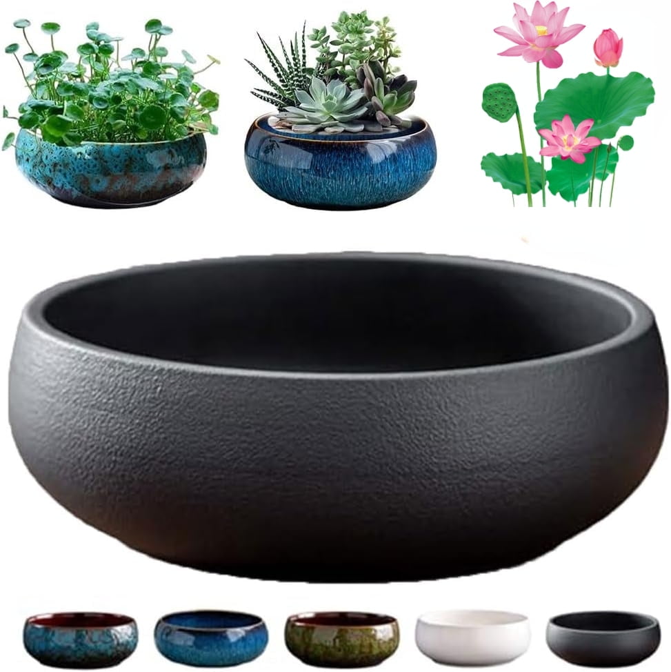 Lotus Bowl Planter, Lotus Seeds for Planting in Water Indoors, Bonsai ...