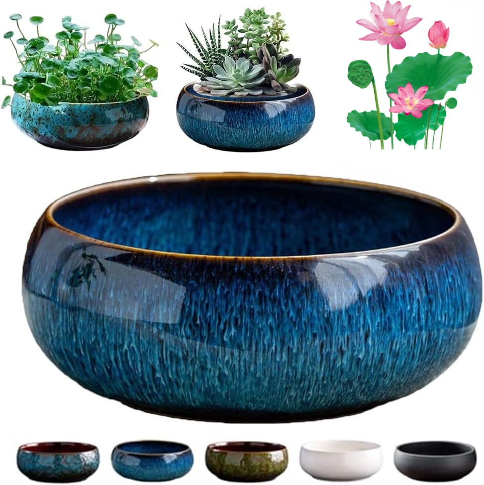 Lotus Bowl Planter, Lotus Seeds for Planting in Water Indoors, Bonsai ...