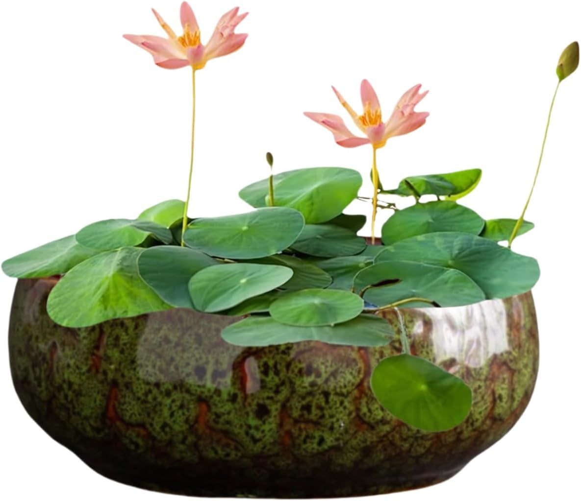Lotus Bowl Planter Plants Pot:Lotus Flower Bowl, Ceramic Pots for ...
