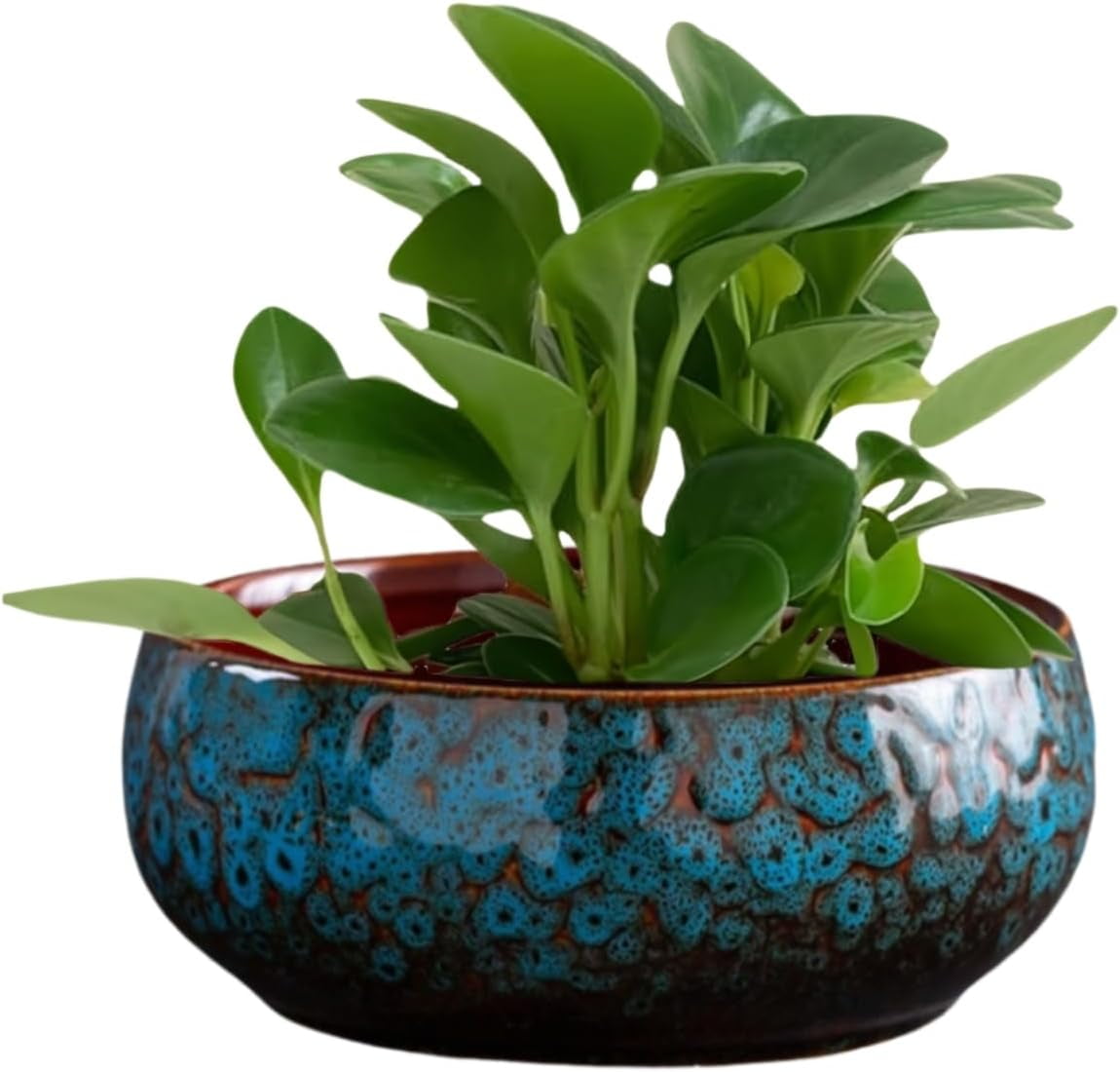 Lotus Bowl Planter Plants Pot:Lotus Flower Bowl, Ceramic Pots for ...