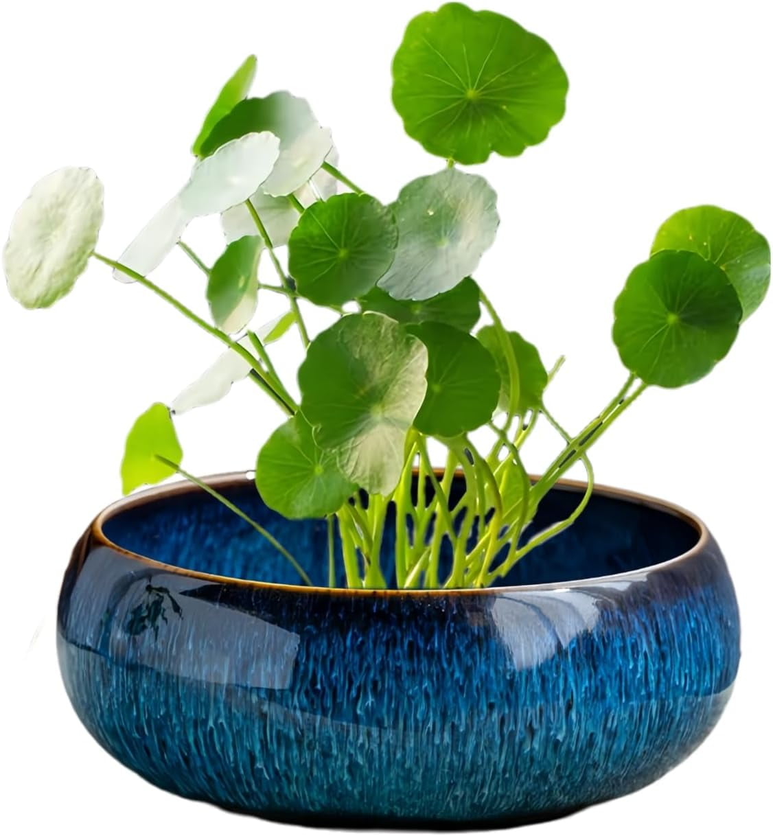 Lotus Bowl Planter Plants Pot:Lotus Flower Bowl, Ceramic Pots for ...