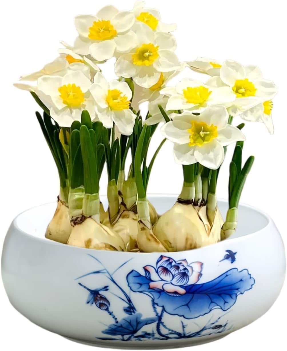 Lotus Bowl Planter Plants Pot:Lotus Flower Bowl, Ceramic Pots for ...
