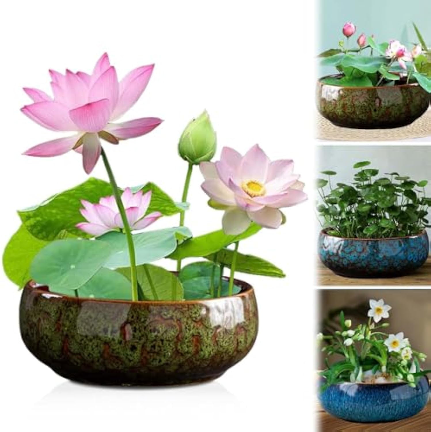 Lotus Bowl Planter, Retro Ceramic Lotus Flower Bowl, Lotus Bowls for ...