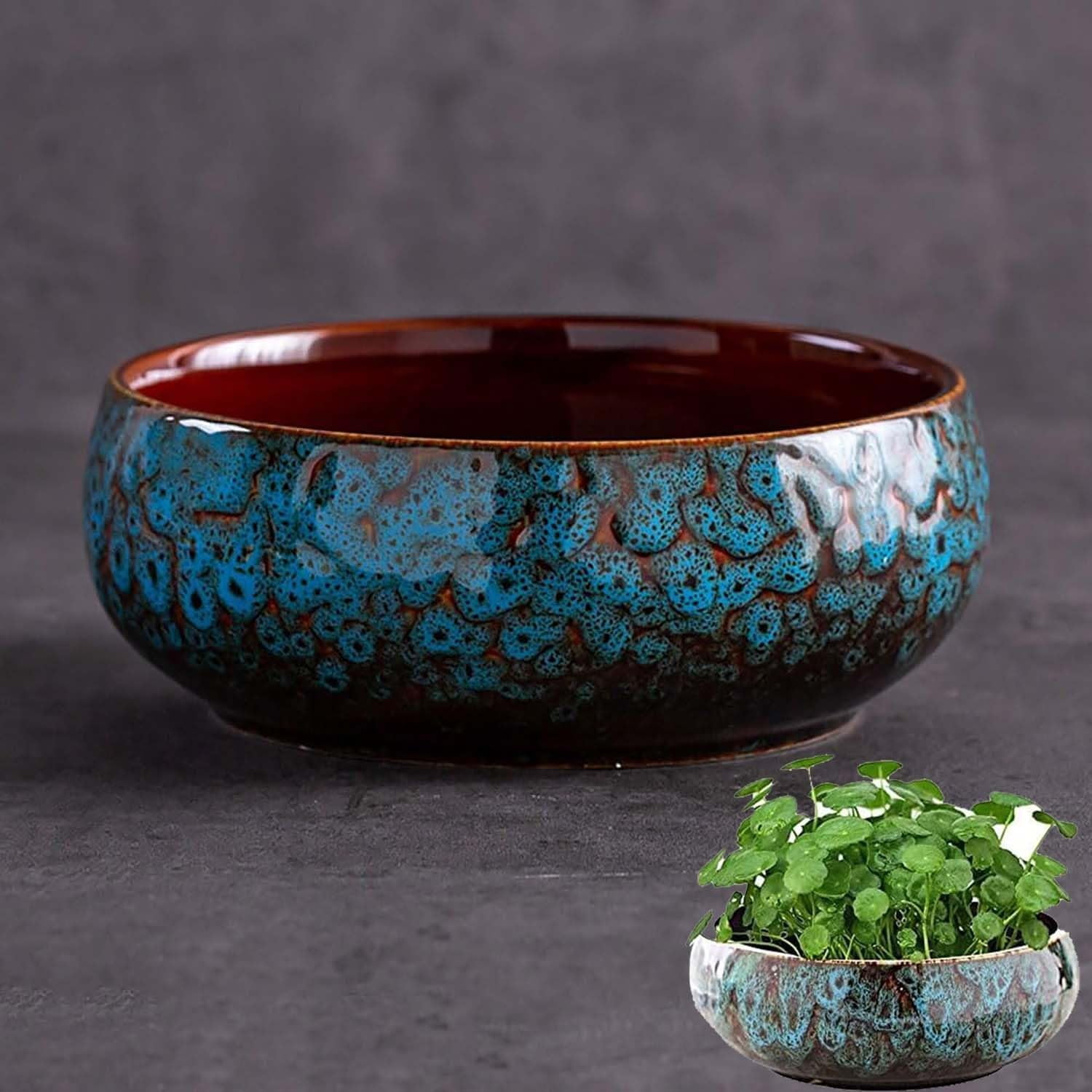 Lotus Bowl Planter, Retro Ceramic Lotus Flower Bowl Lotus Bowls for ...