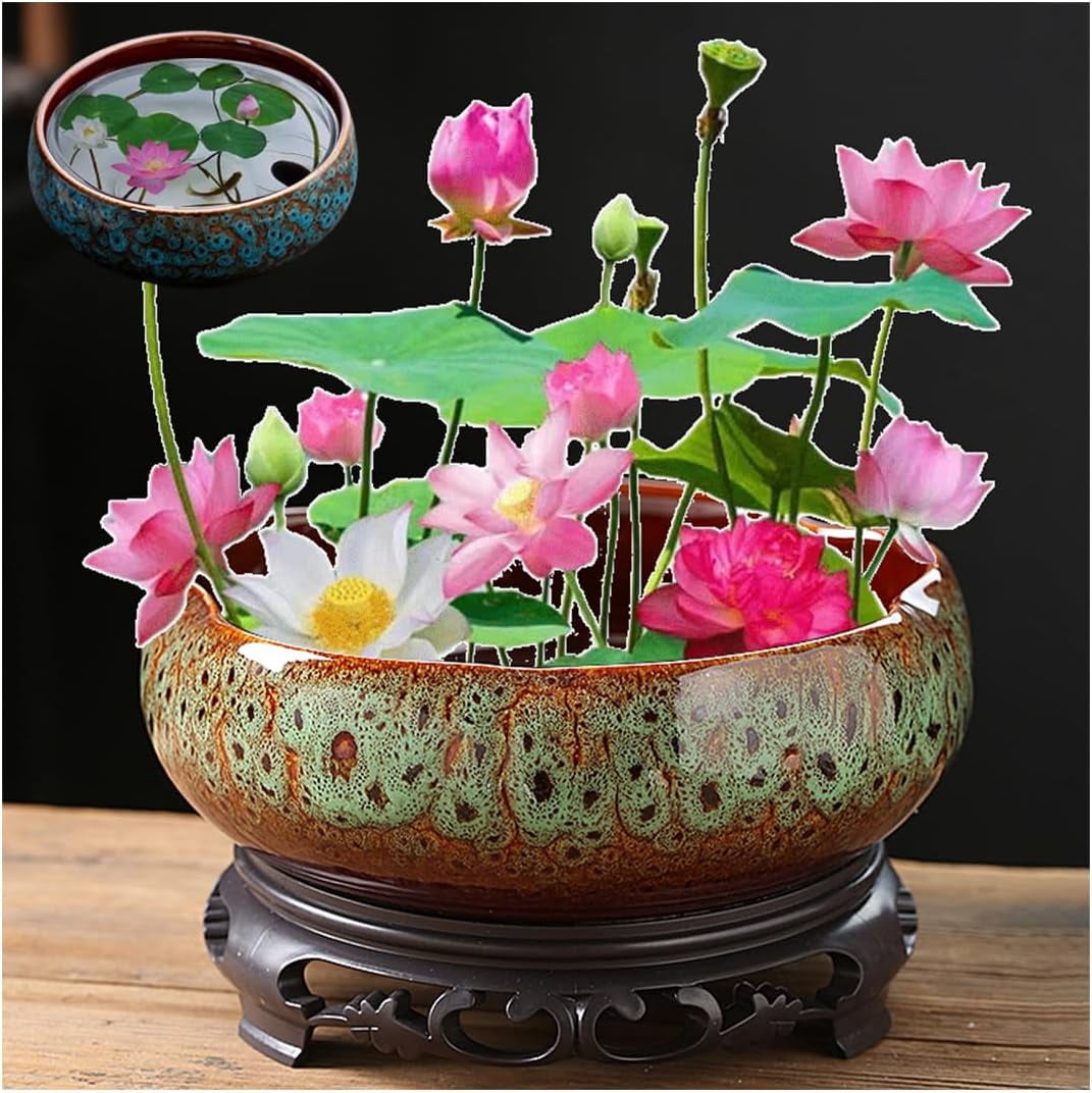 Lotus Bowl Planter, Retro Ceramic Lotus Flower Bowl with Stand for ...