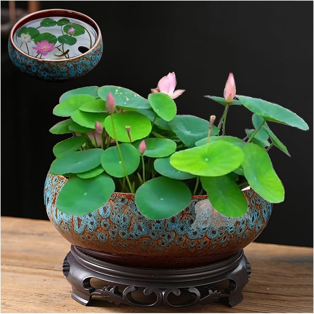 Lotus Bowl Planter, Retro Ceramic Lotus Flower Bowl with Stand for ...