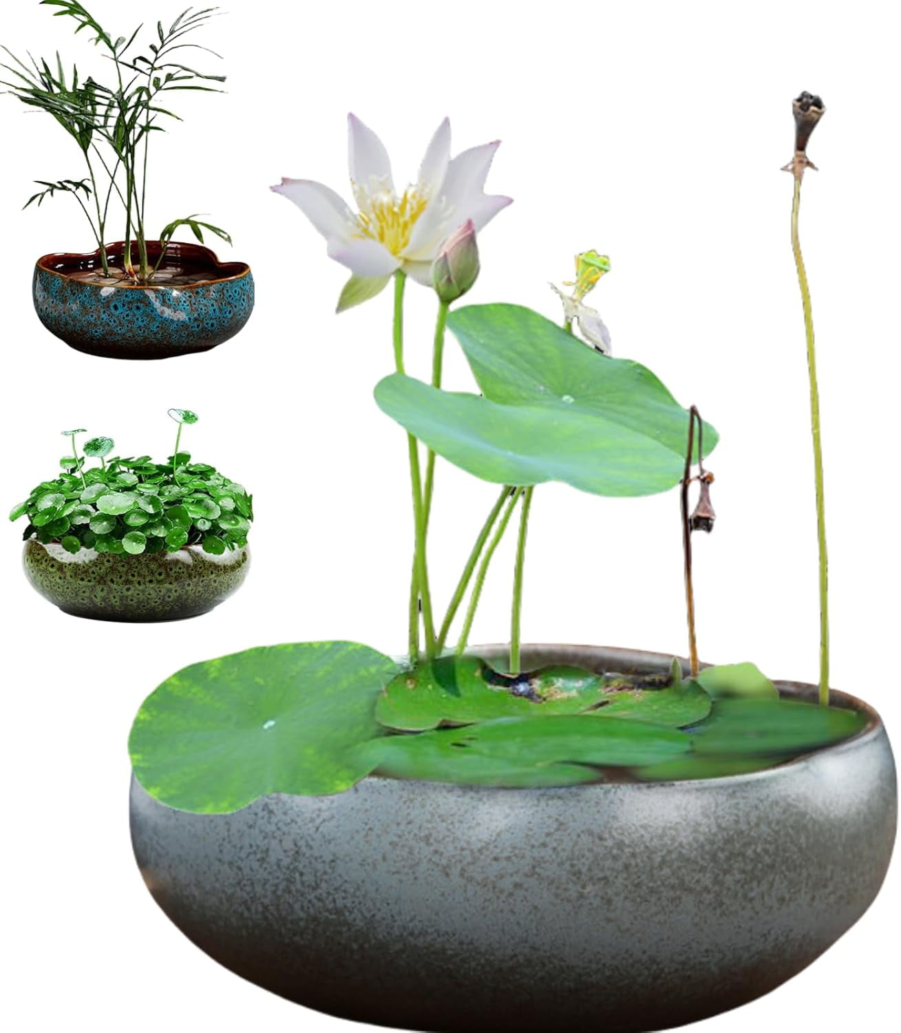 Lotus Bowl Planter,Round Lotus Bowl,Ceramic Lotus Flower Bowl,Lotus ...