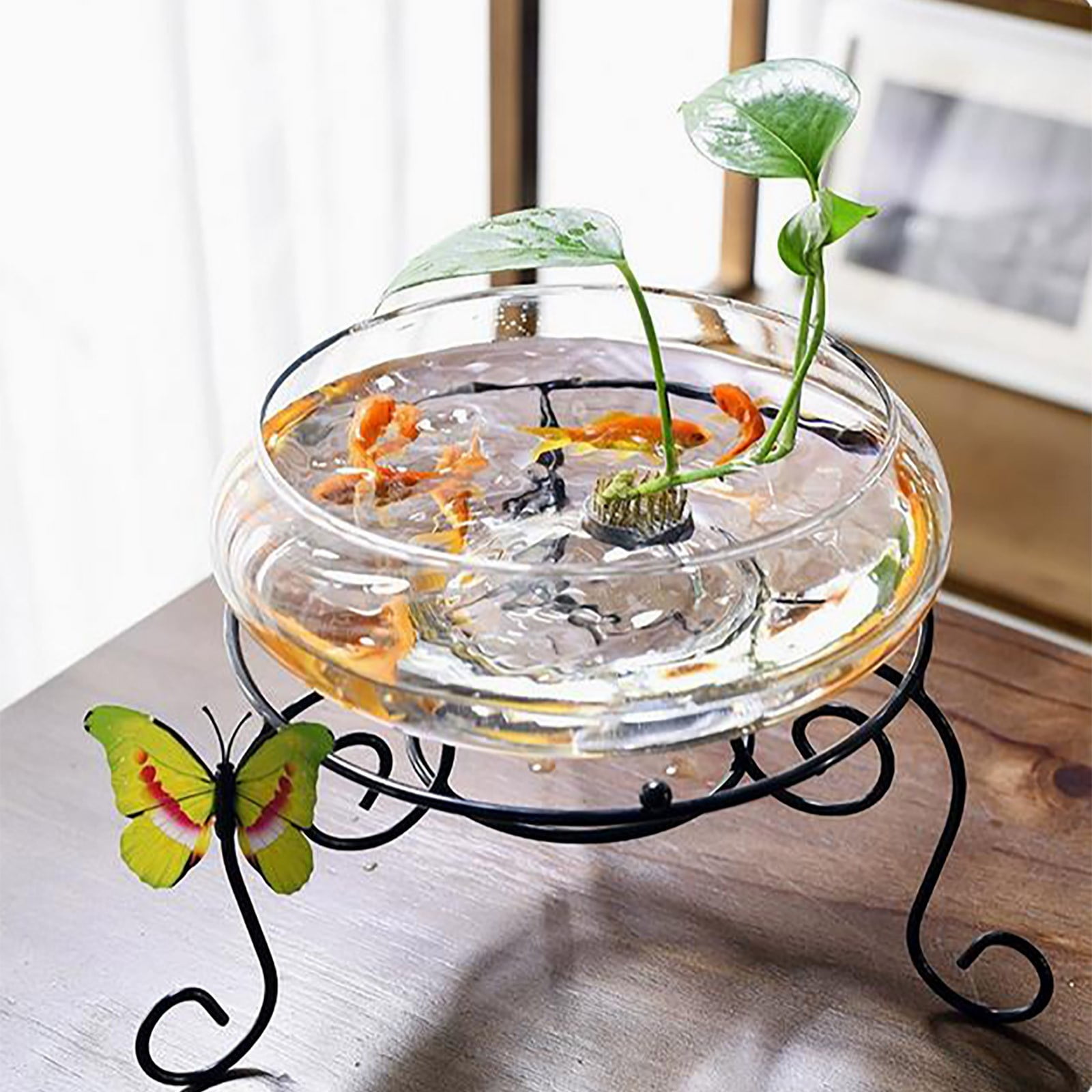 YYNS Lotus Bowl Planter Glass Fish Vase Terrarium 8 Inch Round Water ...