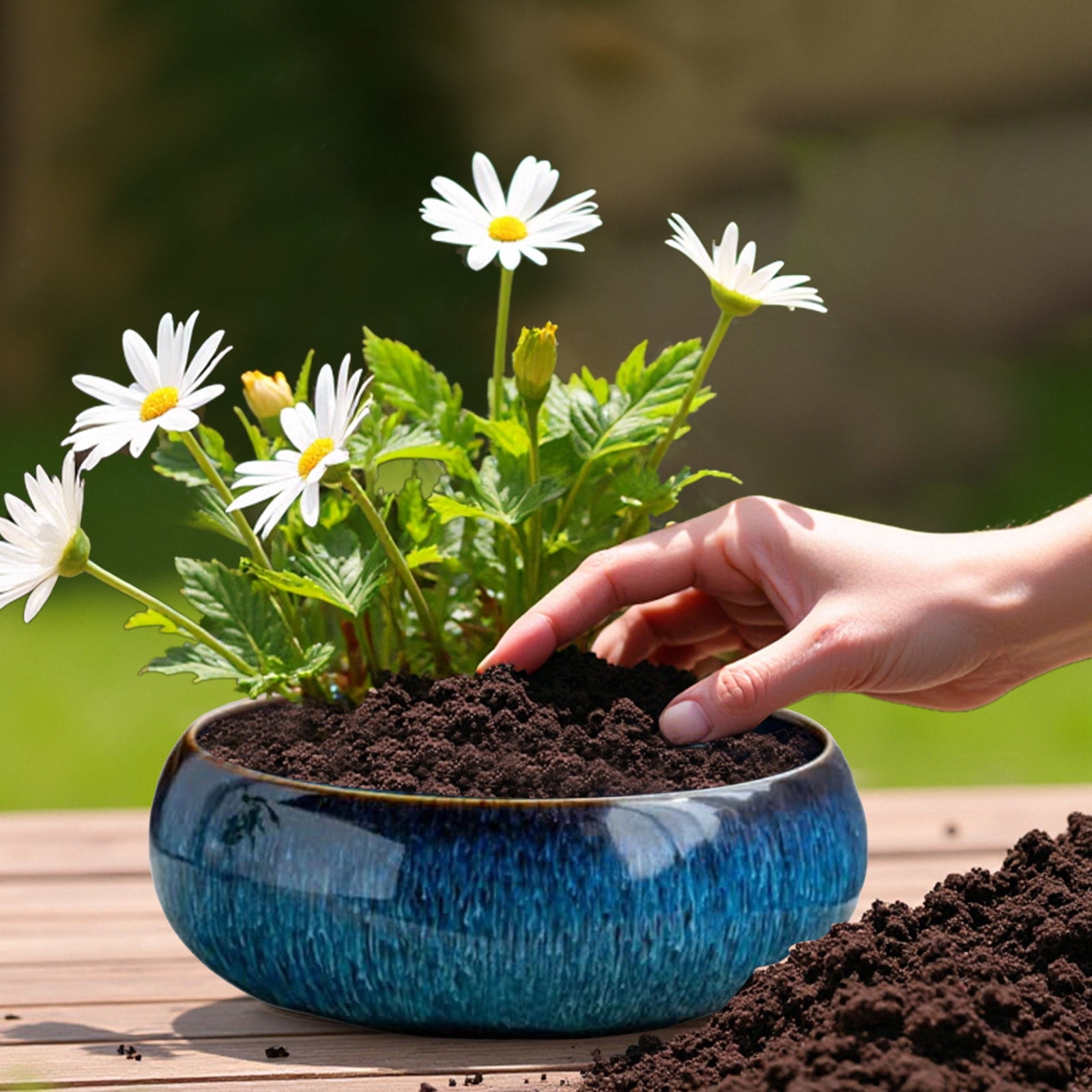 Lotus Bowl Planter for Water - Ceramic Hydroponic Planter with Leak ...