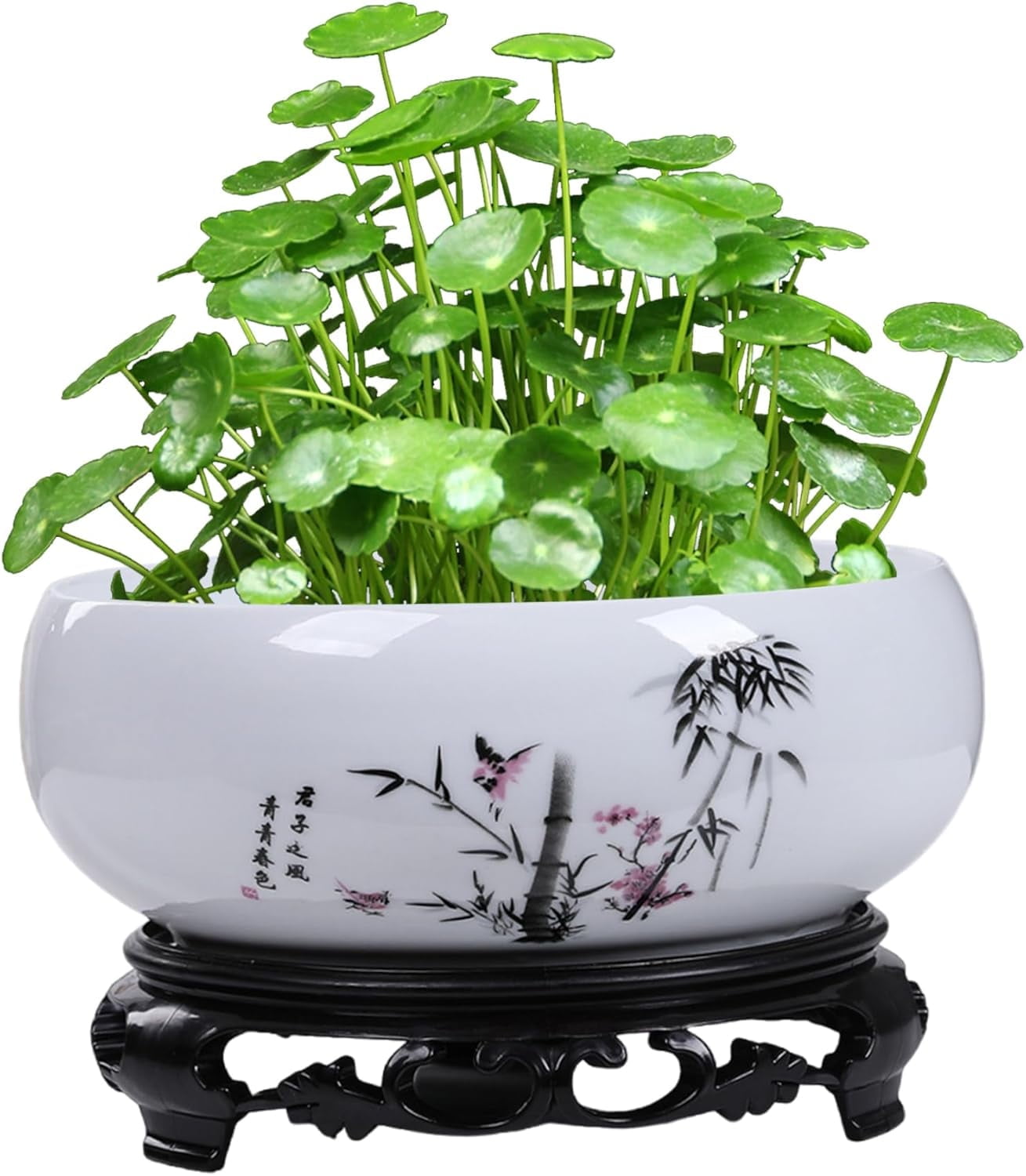 Lotus Bowls for Planting in Water Indoors, Chinese Ceramic Lotus Bowl ...
