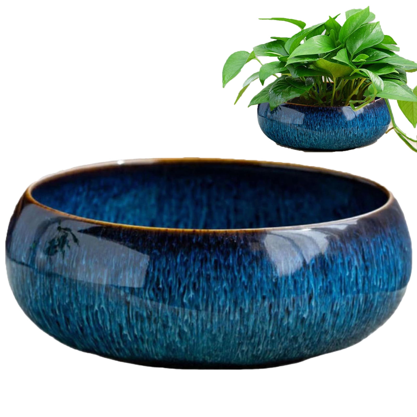 Lotus Bowls For Planting In Water Indoors,Lotus Planter,Lotus Pot,Lotus ...