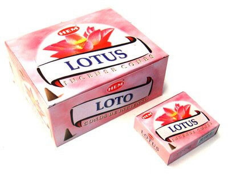 Lotus Cones, 10 Cones/ Pack, 12 Packs/ Display Box - Walmart.com