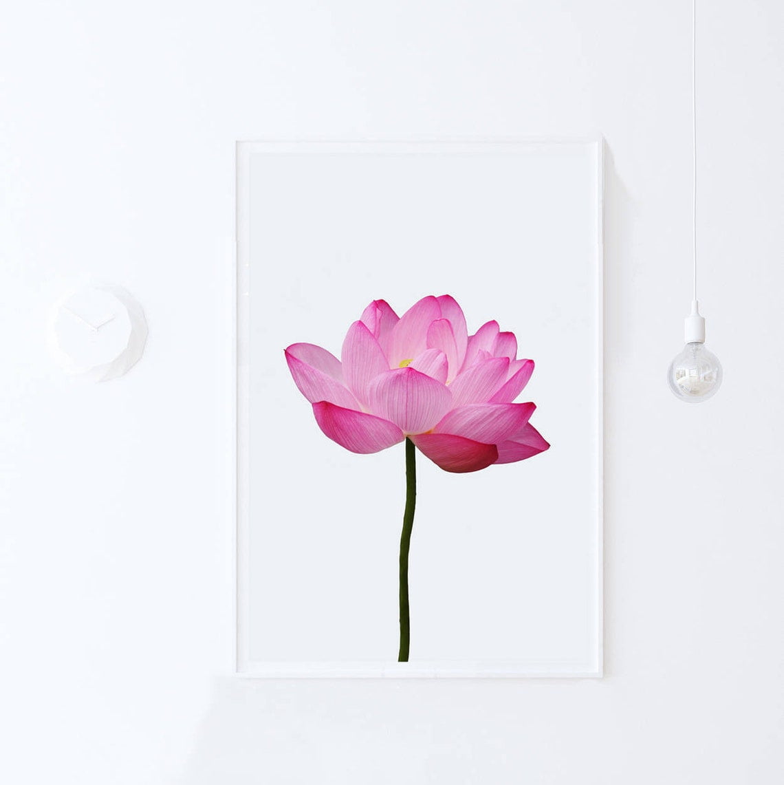 Lotus Flower Print, Floral Photography Digital Print, Lotus Flower ...