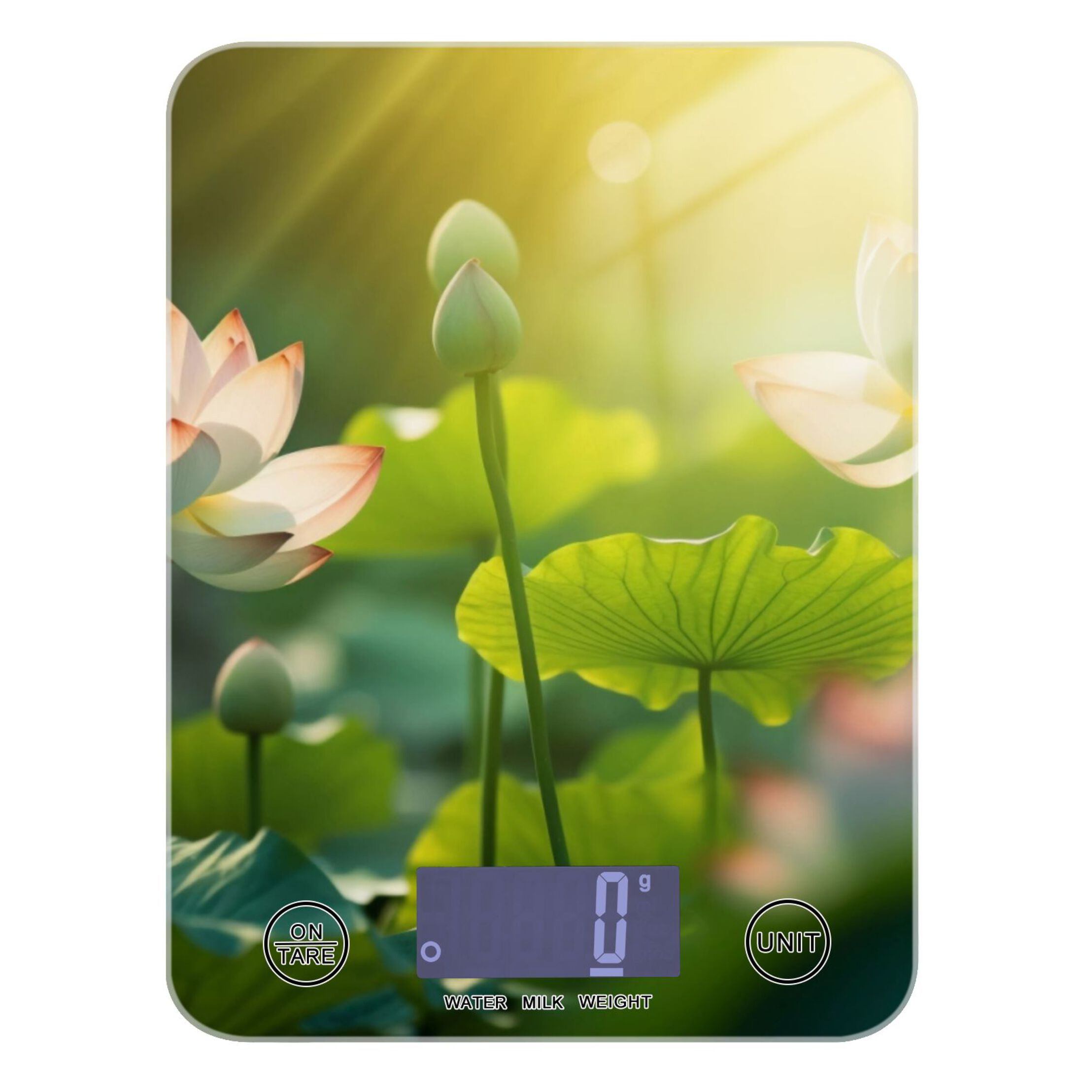 Lotus Flowers Green Kitchen Scale Digital Food Scales Grams and Oz ...